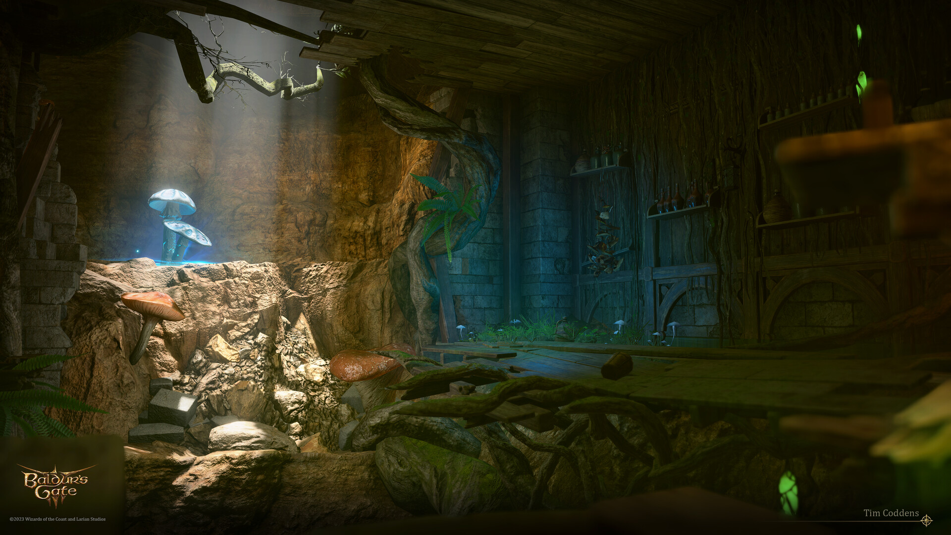 Tim Coddens - The Blushing Mermaid Basement