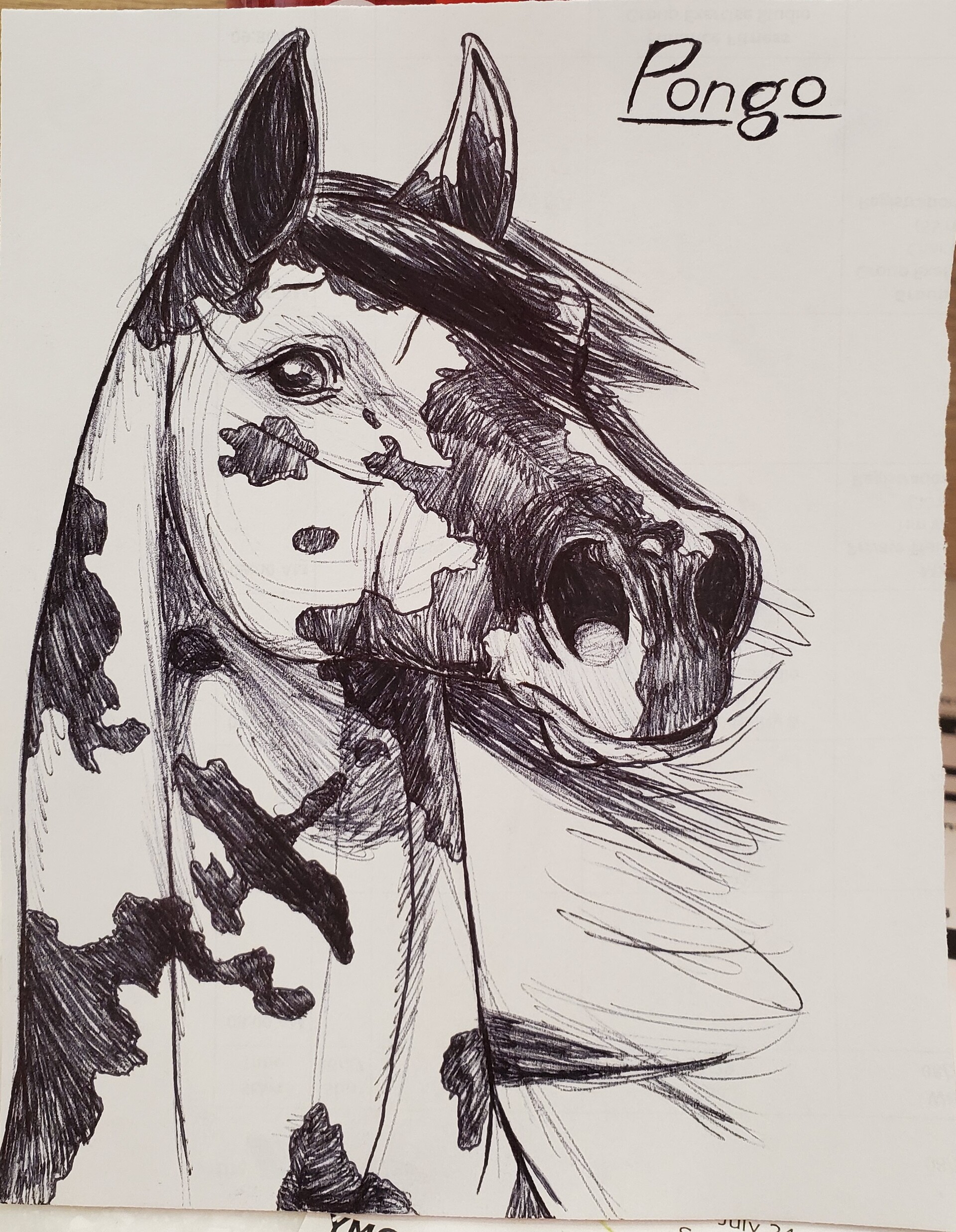 ArtStation - Pongo the Pinto-Andalusian