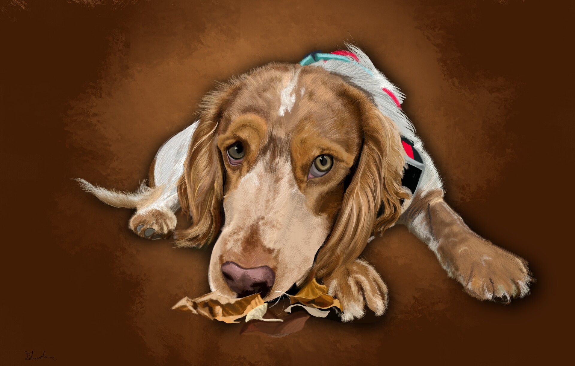 ArtStation - Cocker Spaniel Commission