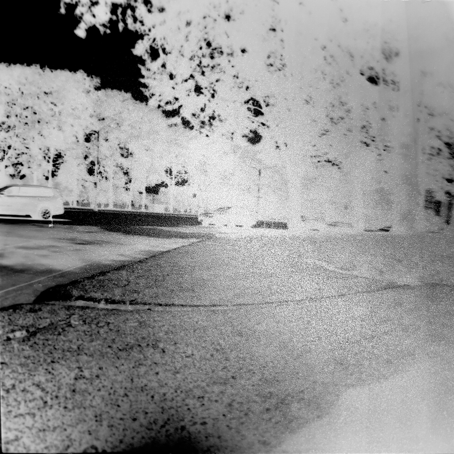 ArtStation - My Photogram