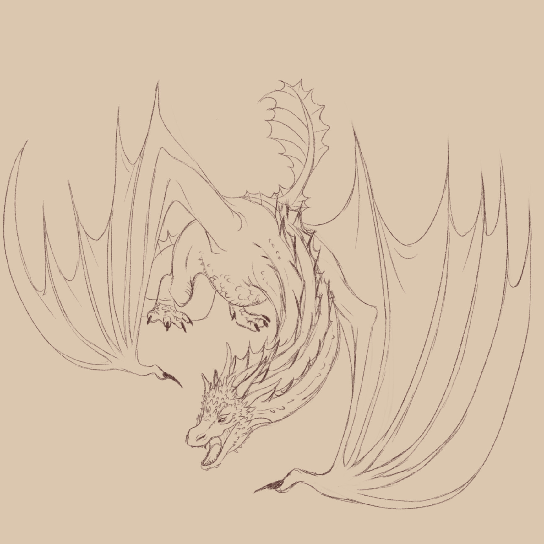 how to draw got dragon