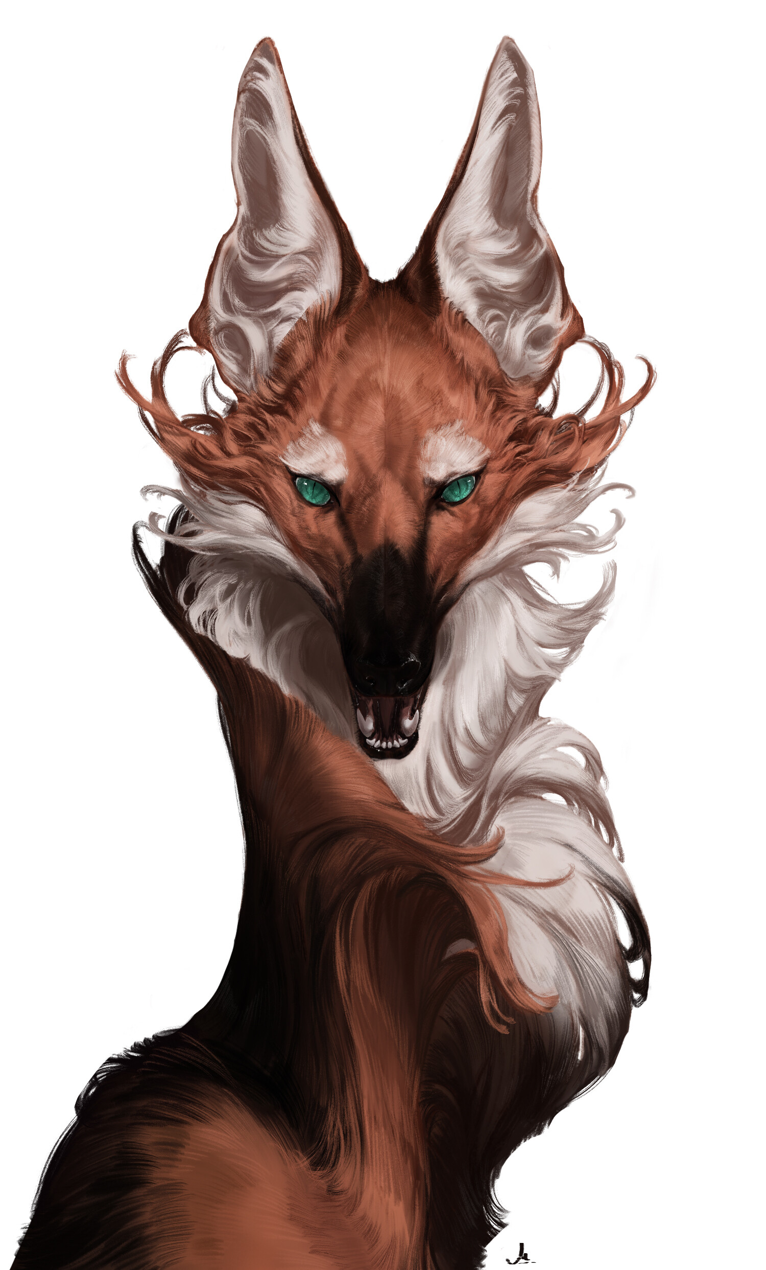 maned wolf headshot