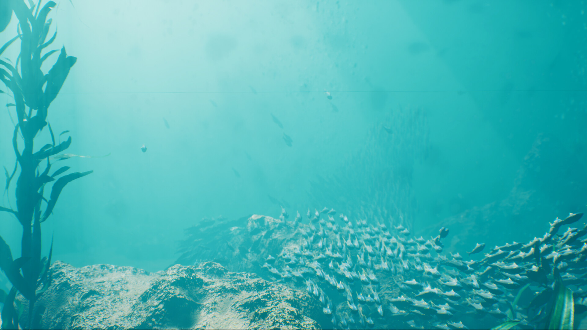 Aaron Trotter - Realtime GPU Fish