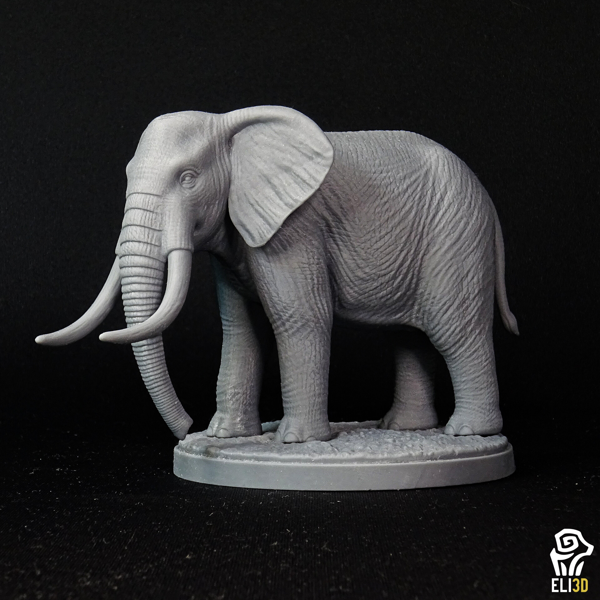 eli3D - Elephant