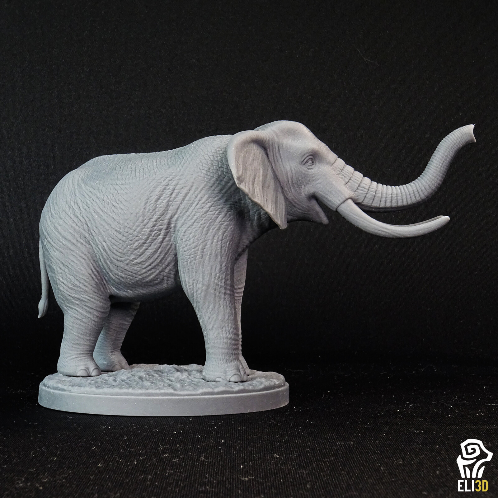 eli3D - Elephant