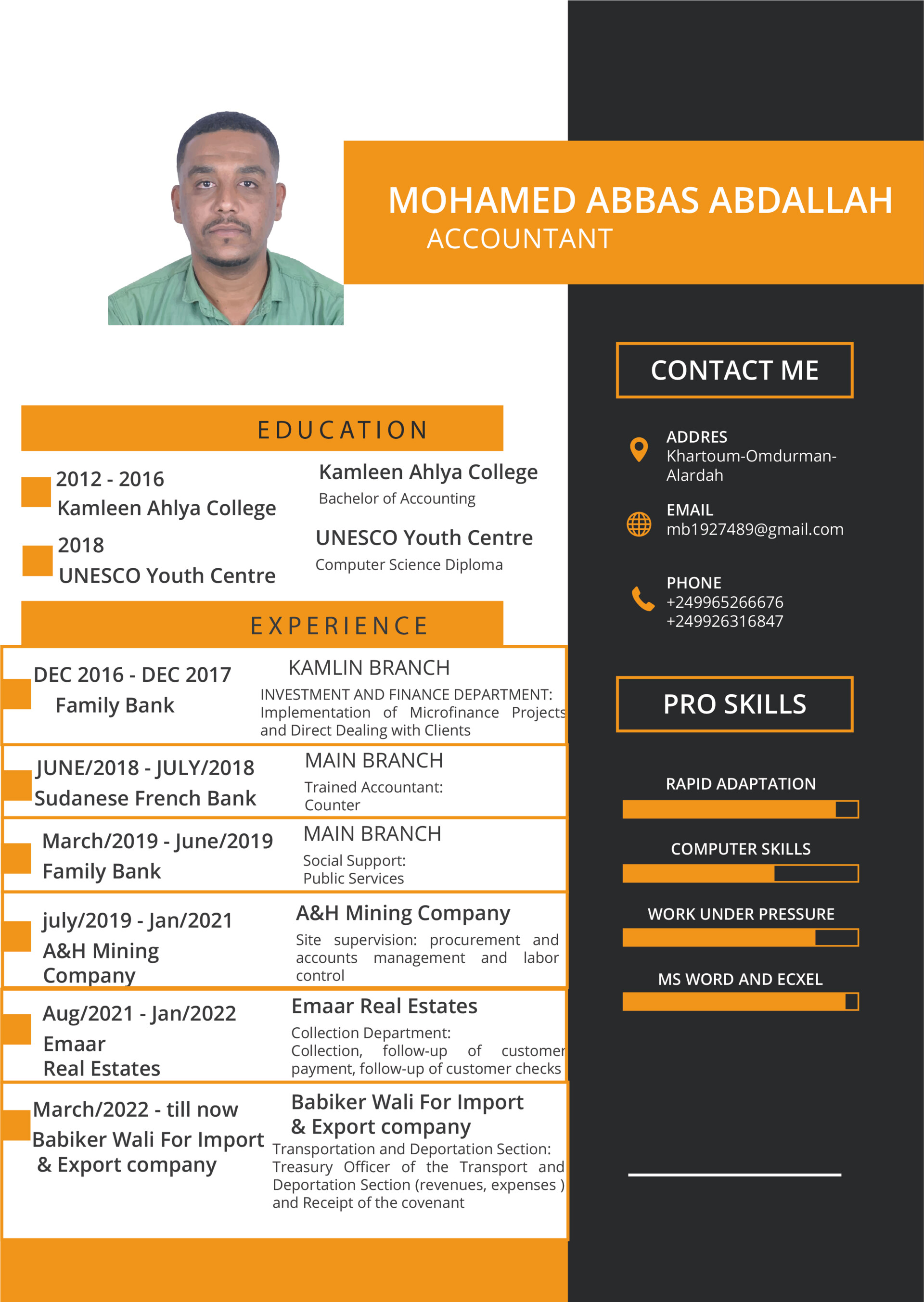 ArtStation - cv design