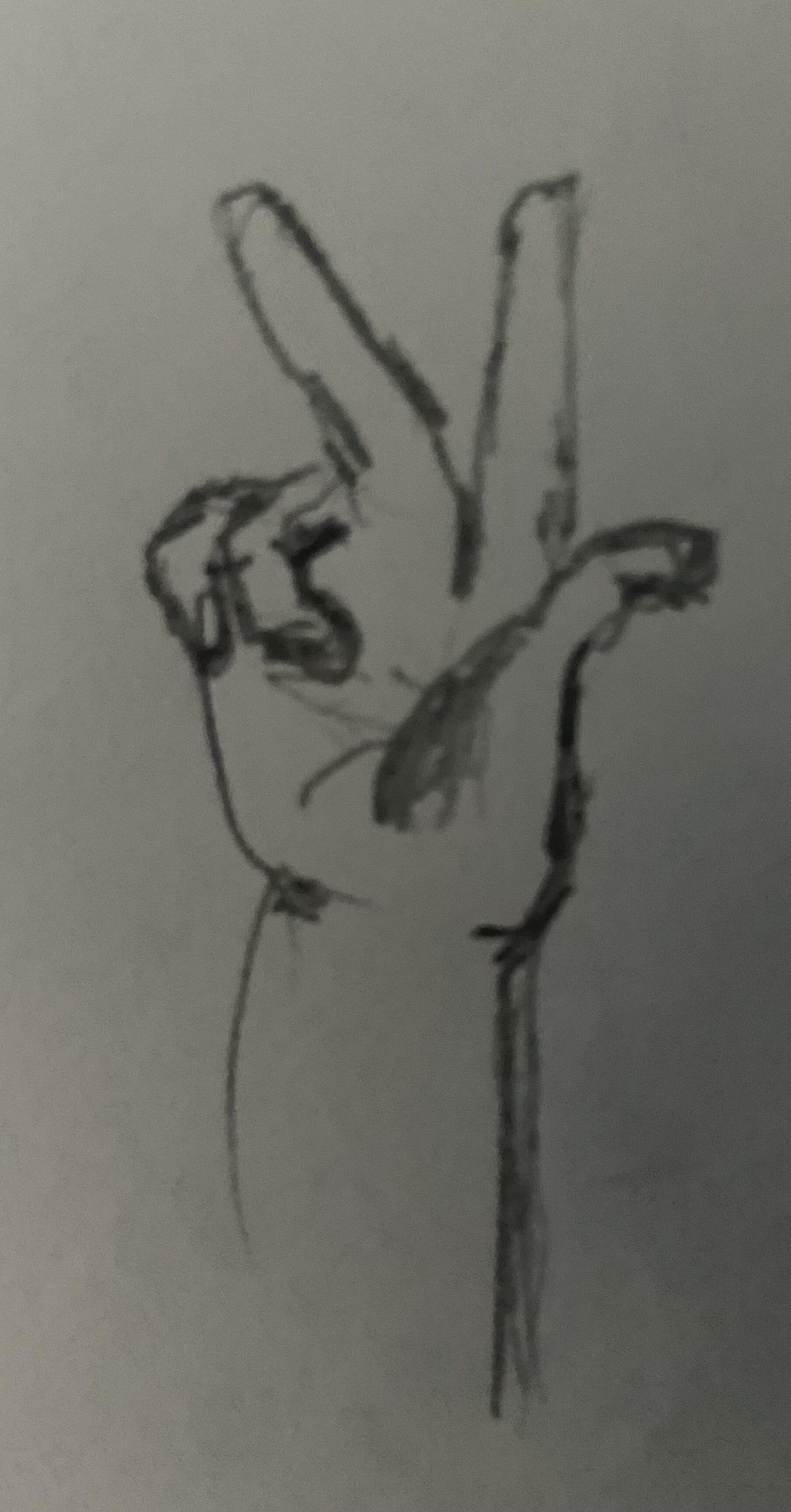 How To Draw Anime Peace Sign