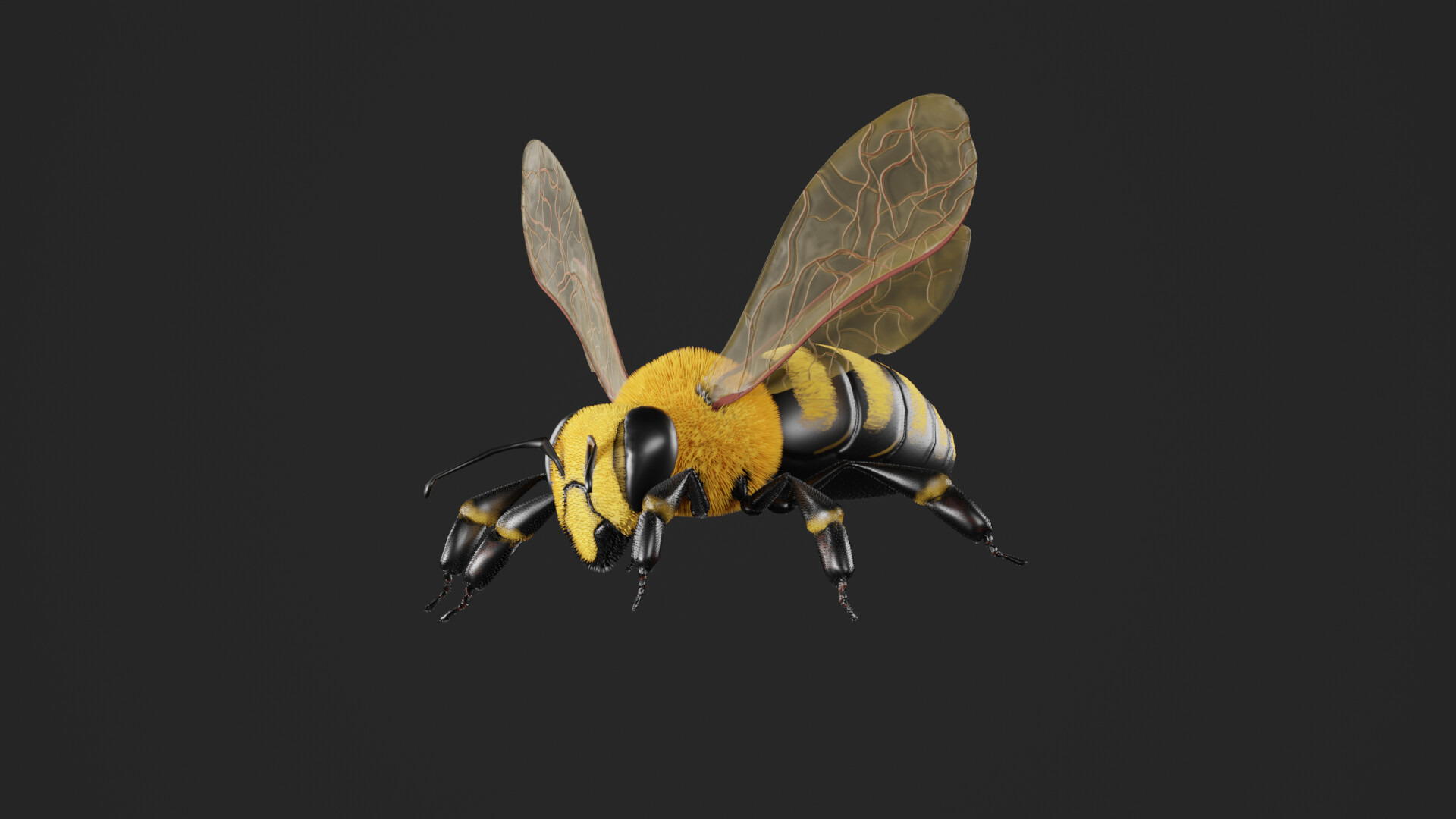 ArtStation - Bee