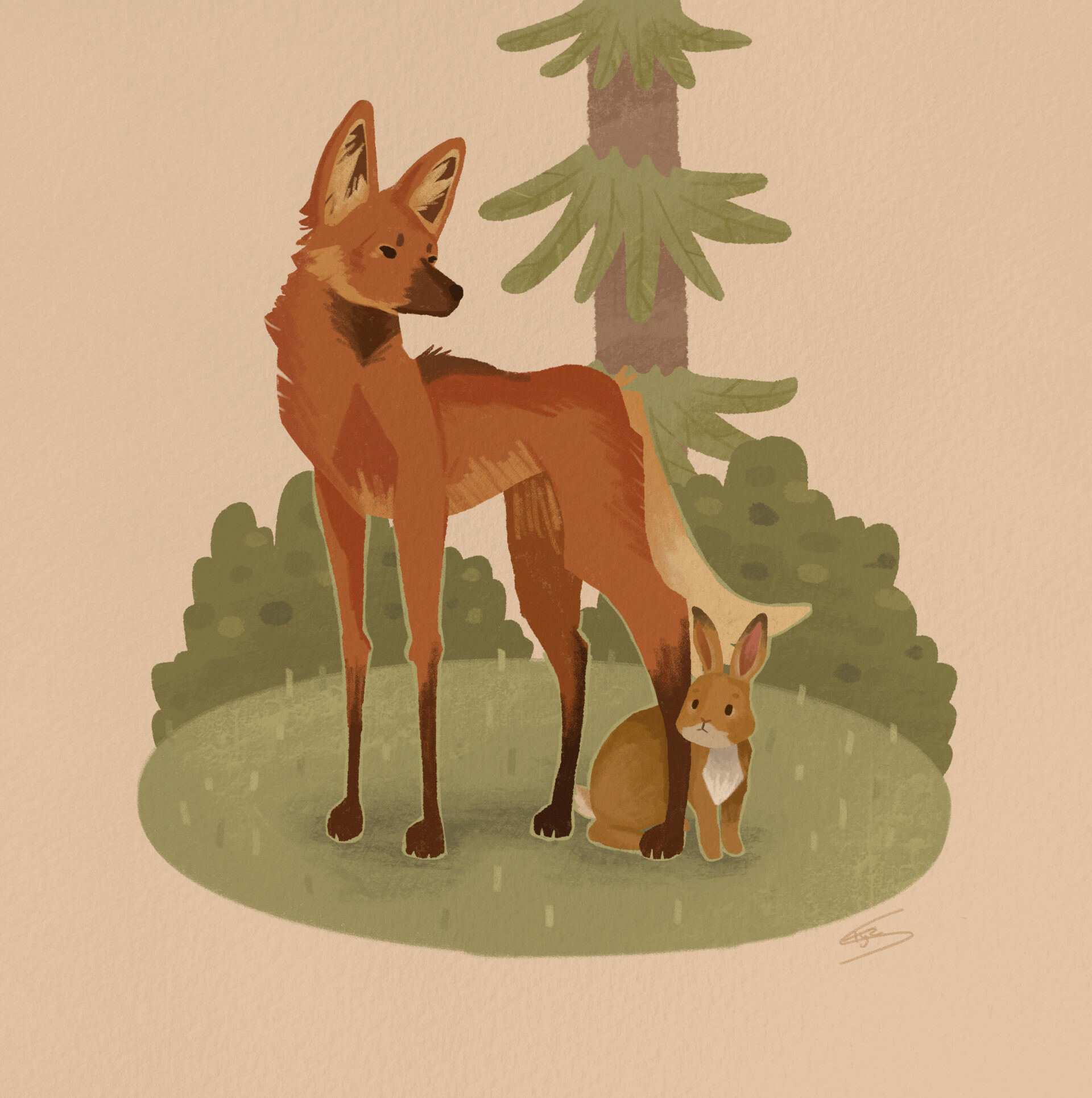 ArtStation - Maned wolf illustration