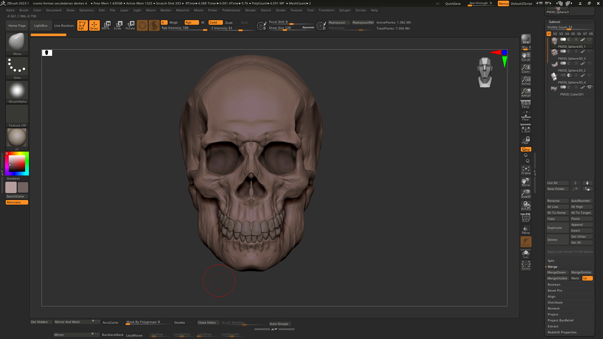 ArtStation - skull study