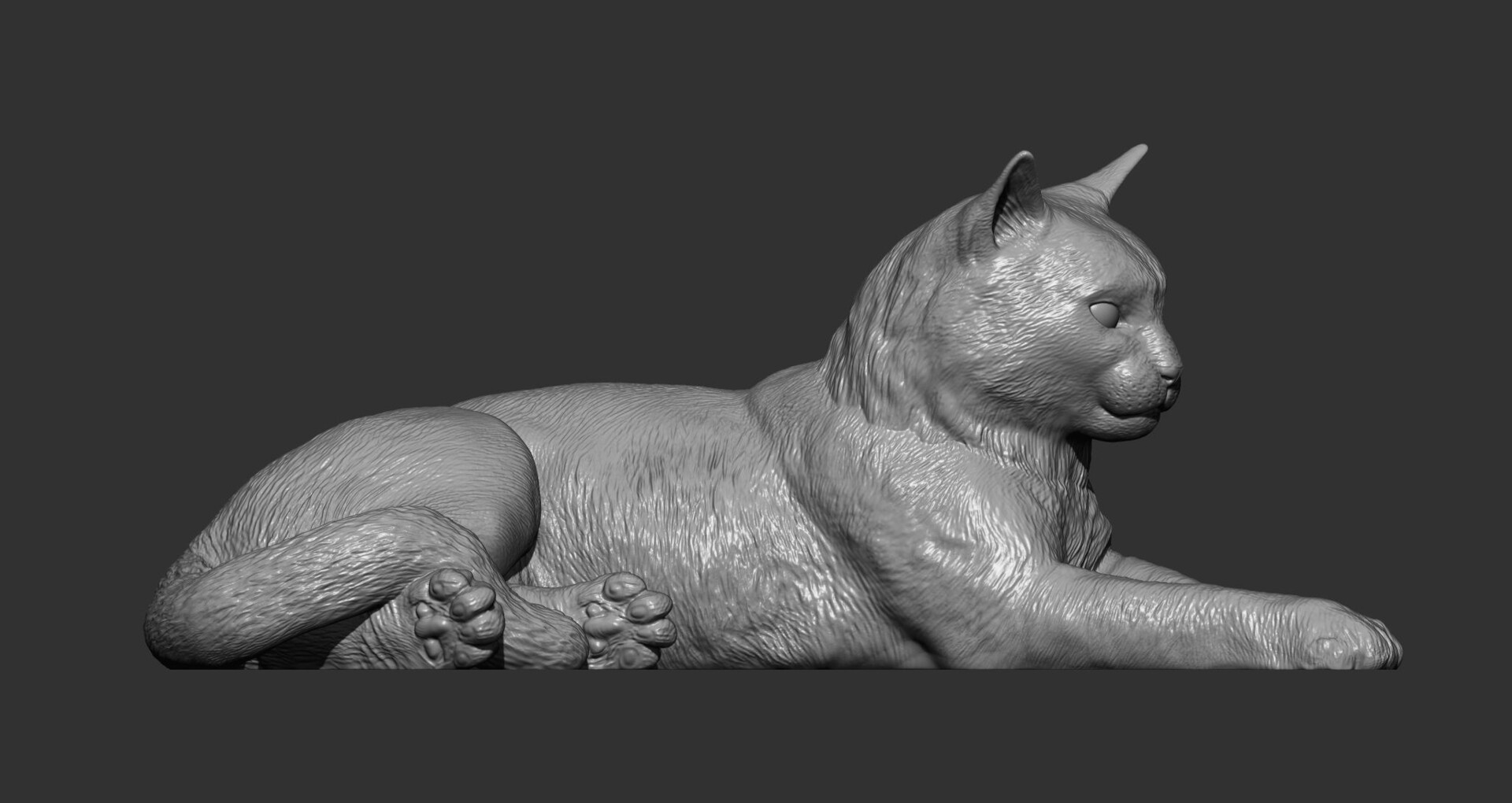 ArtStation - 3d sculpting Cat
