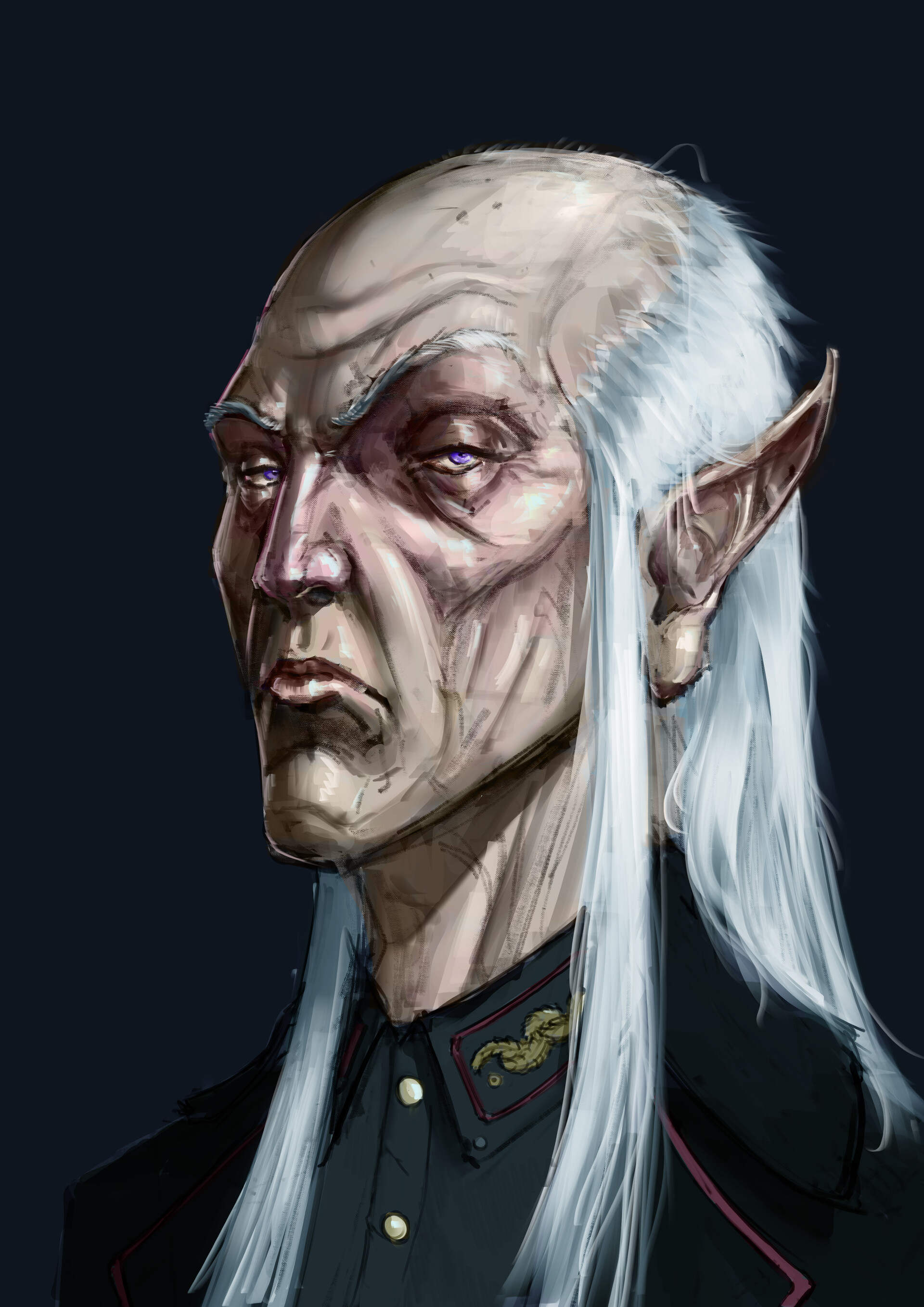 Angel Aranda - Post Apocalyptic Fantasy - Elf