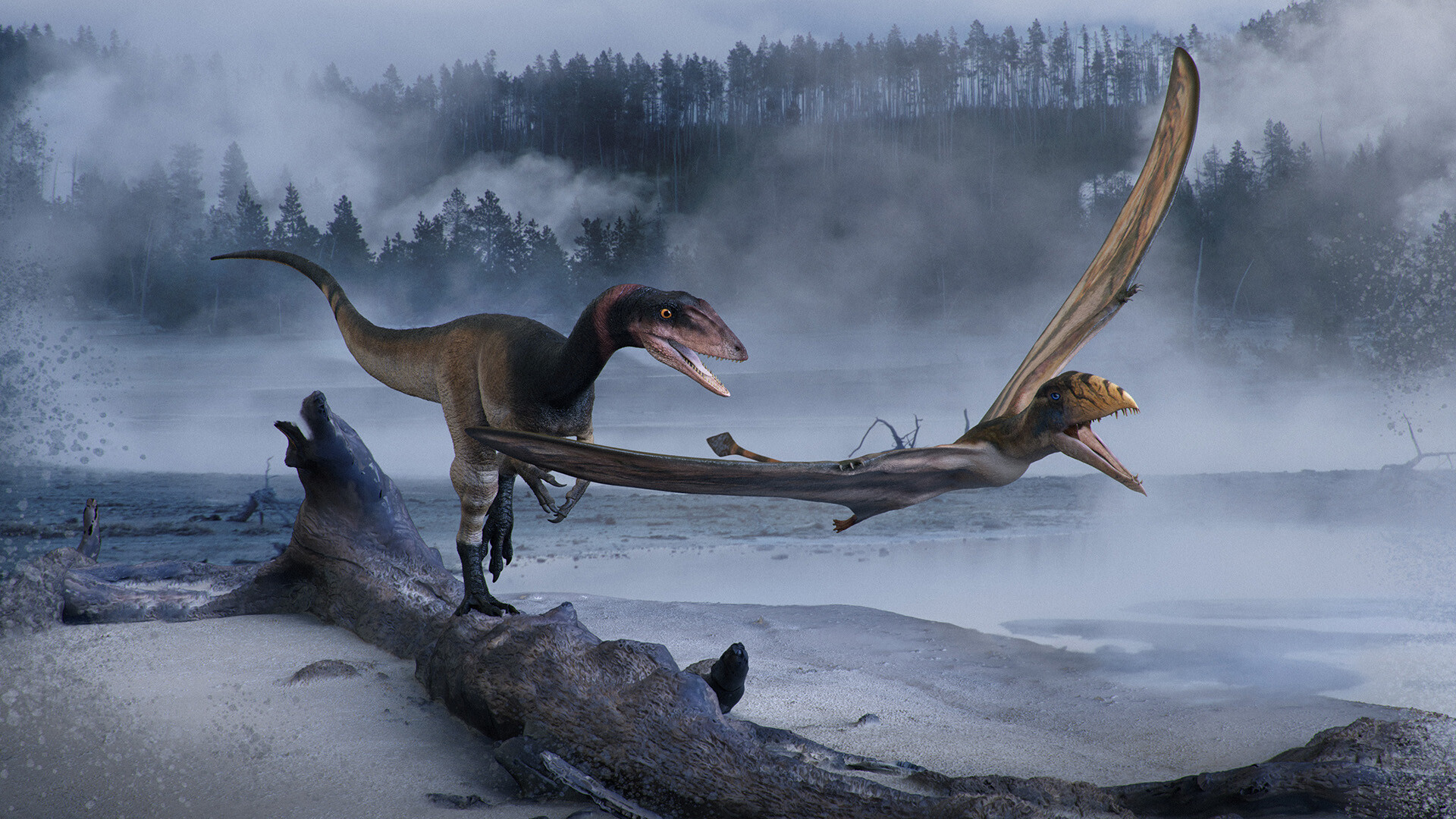 ArtStation - Panguraptor lufengensis