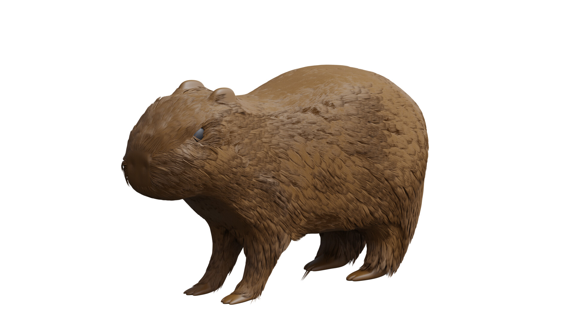 ArtStation - Capybara 3d model in Blender