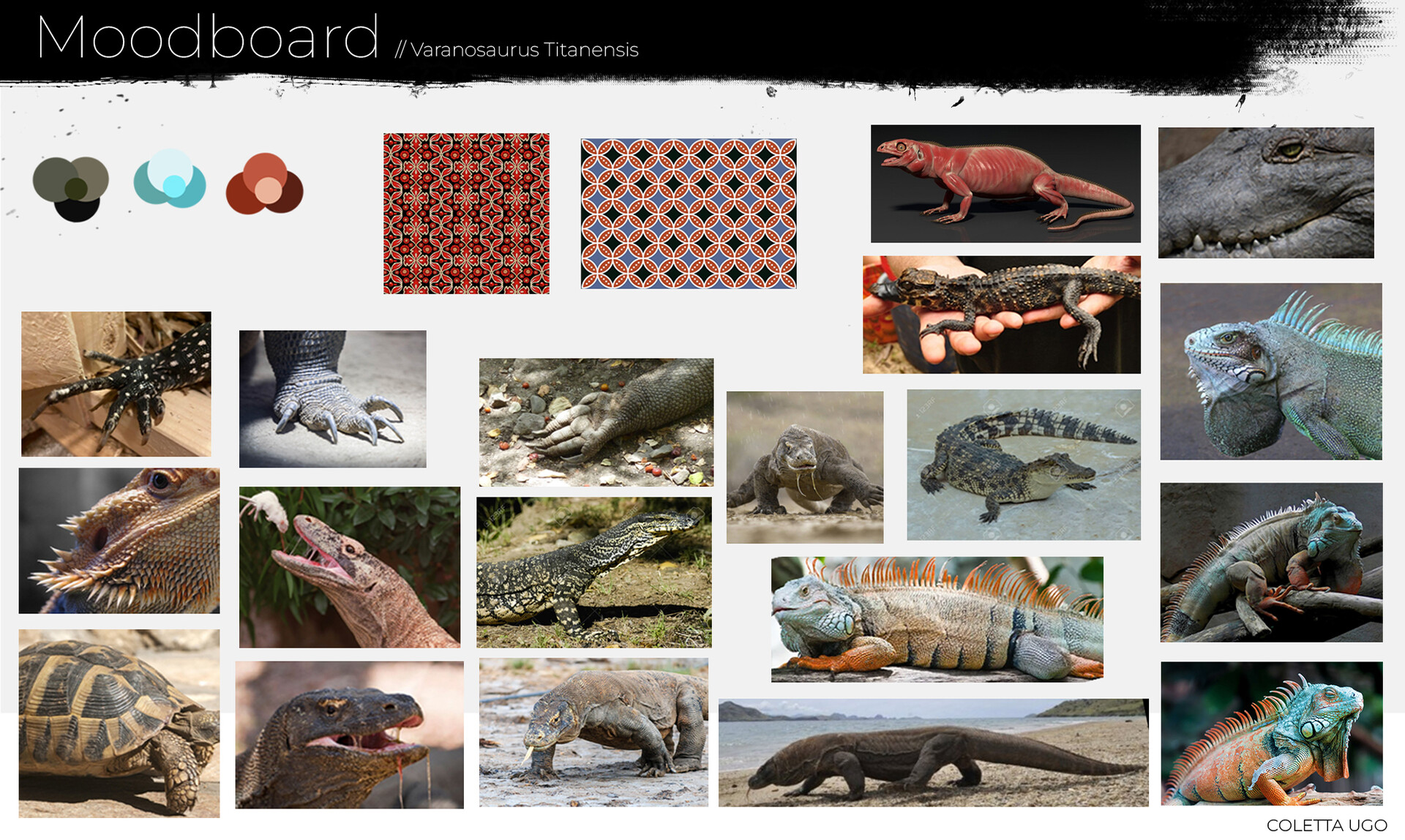 Varanosaurus Permian Period Q Files Search • Read • Discover