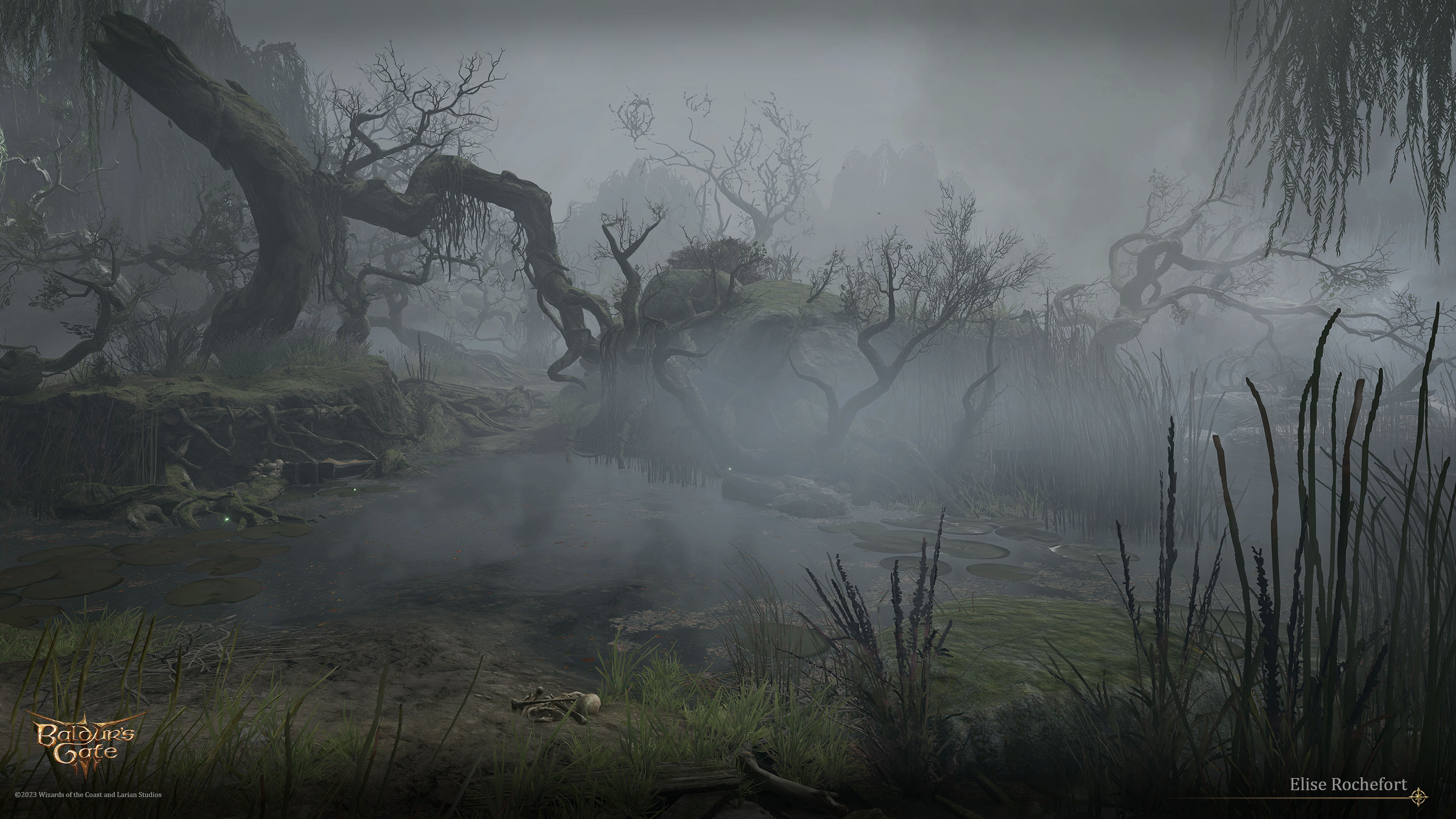 Elise Rochefort - Baldur's Gate 3 - Hag