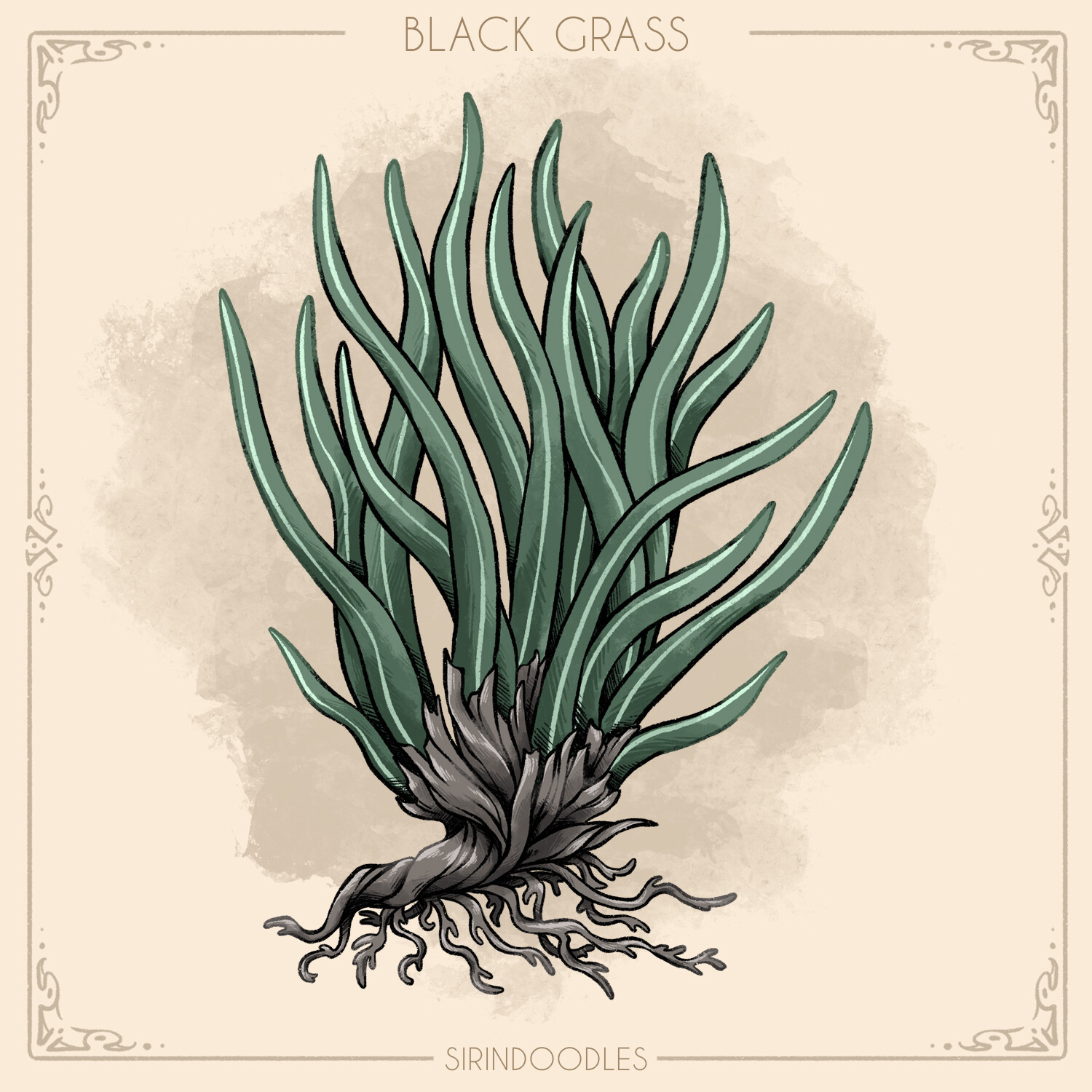 ArtStation - Black Grass - D&D Homebrew Herbalism - Dungeons and ...