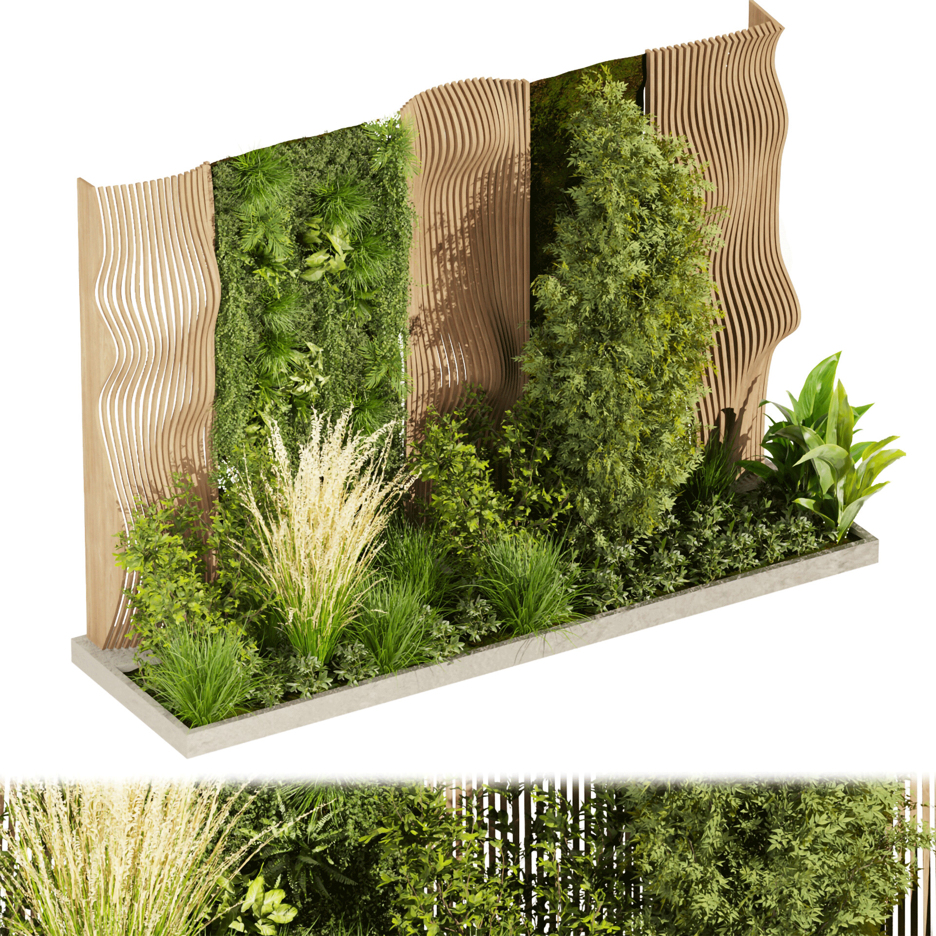 ArtStation - Collection plant vol 485 - garden - pampas - 3d curves - grass