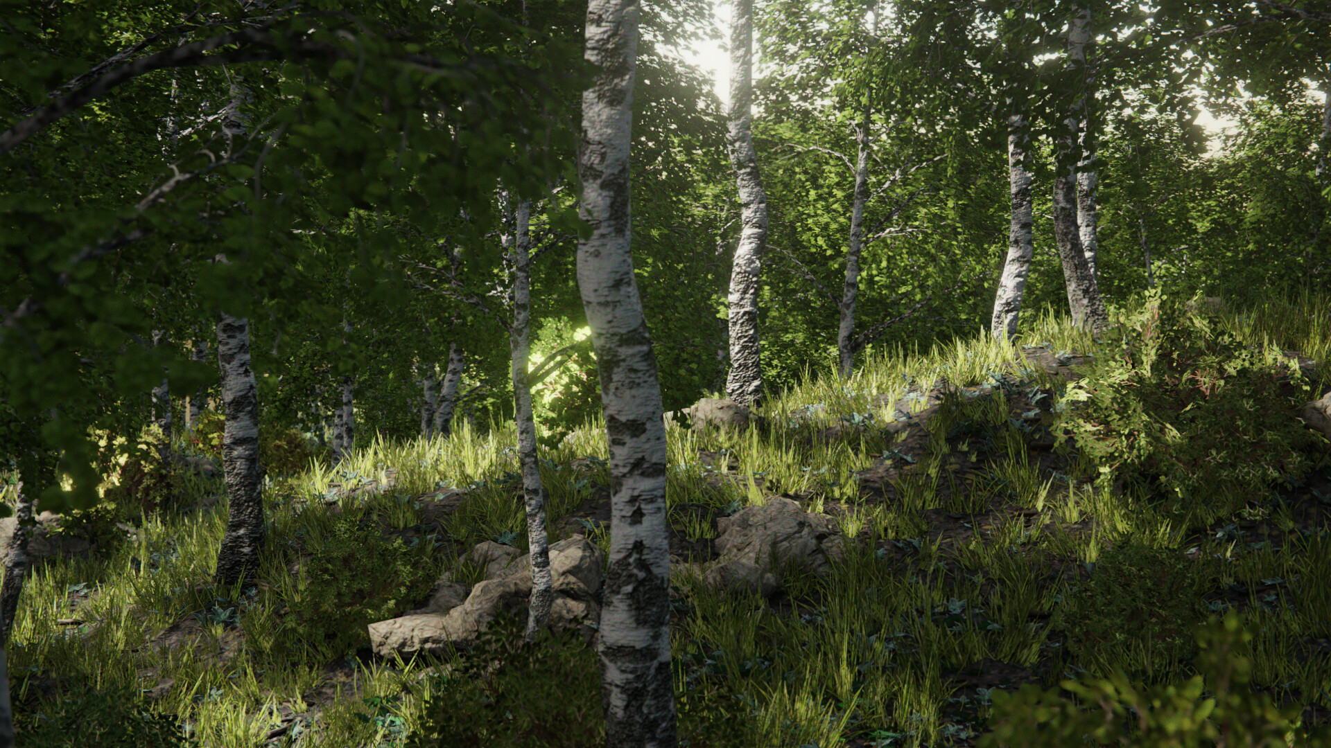 ArtStation - procedural birch forest