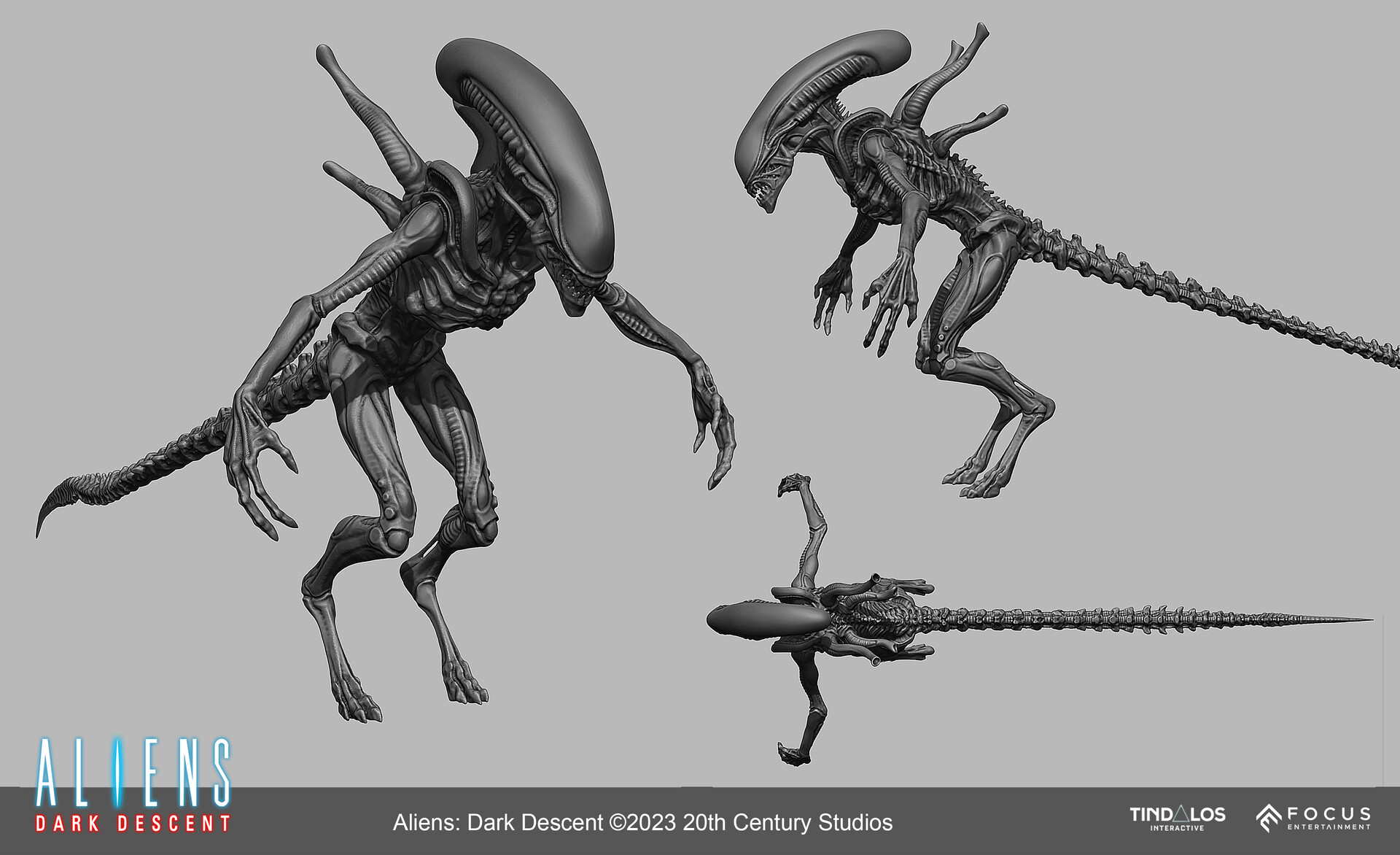 xenomorph drone drawing