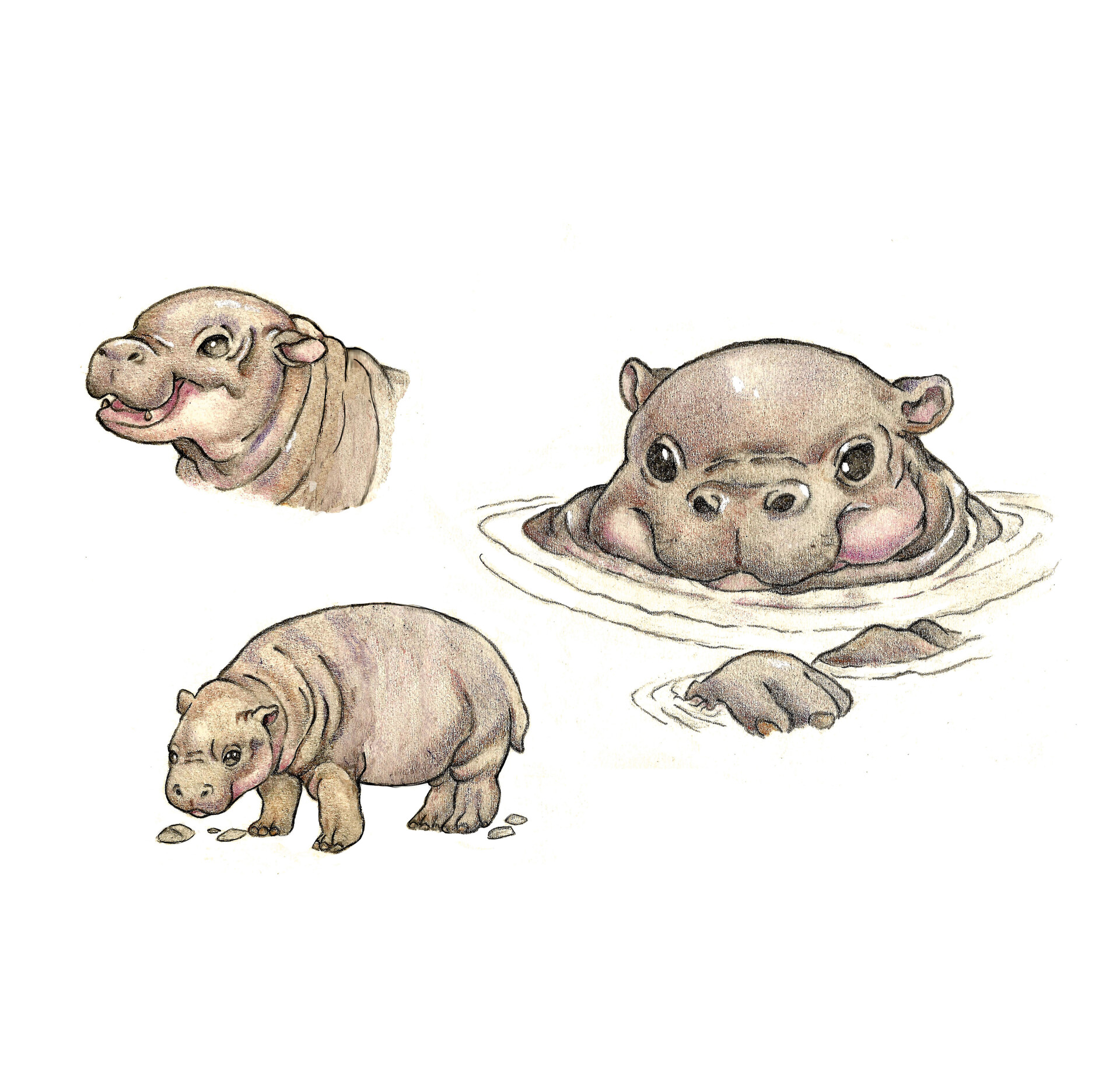 ArtStation - Pygmy Hippo