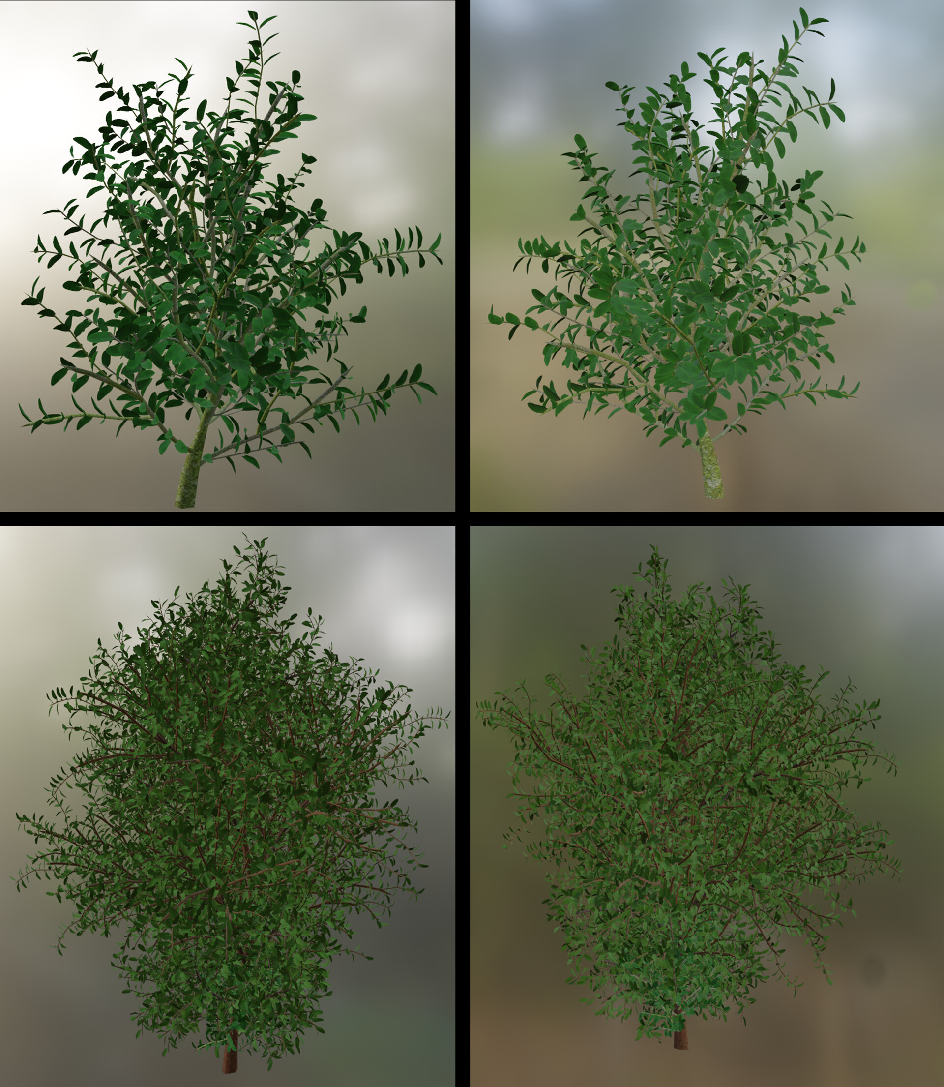 ArtStation - Vegetation Study