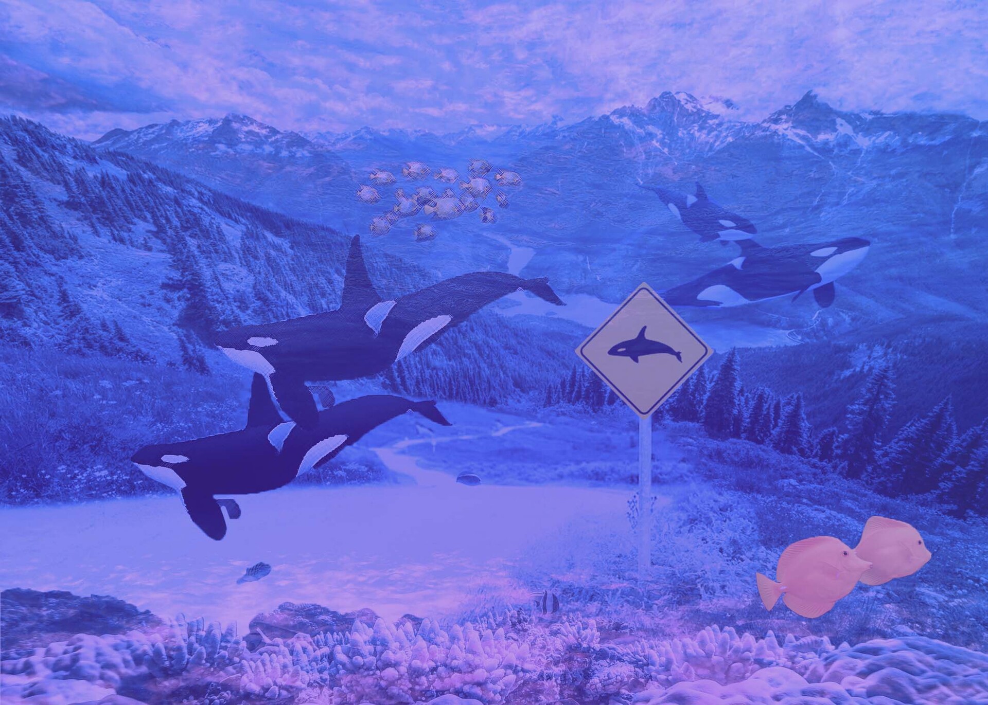 ArtStation - Whale Crossing