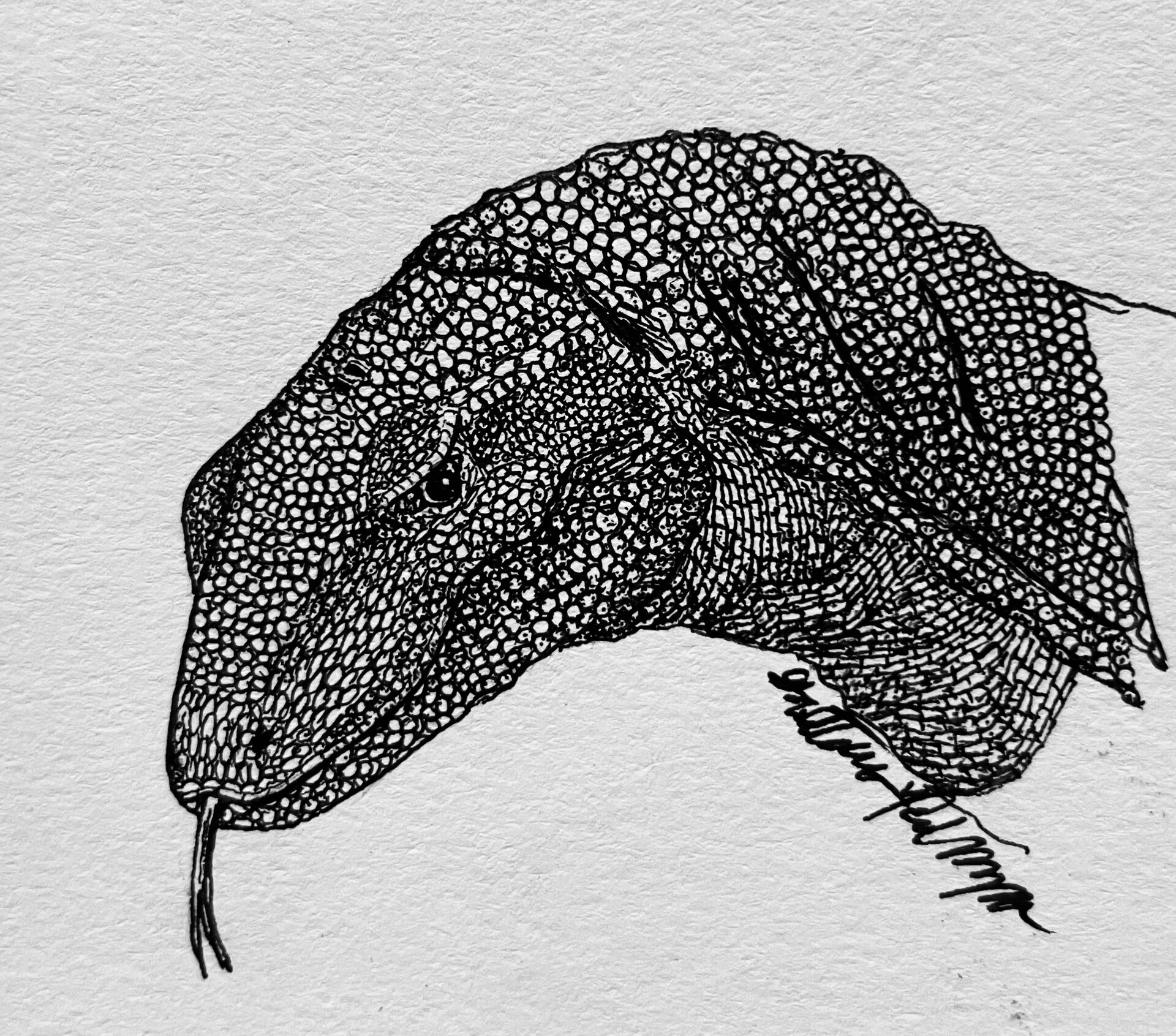 ArtStation - Saniwa ensidens