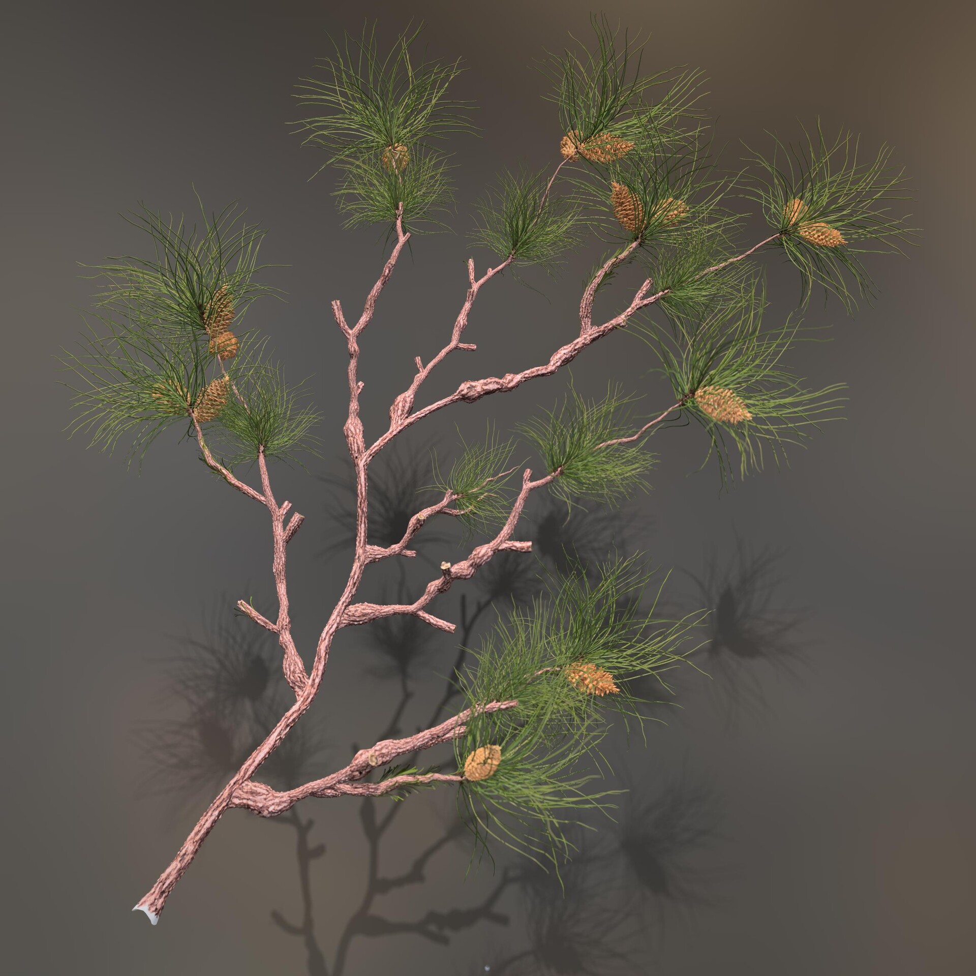ArtStation - Ponderosa Pine Rework