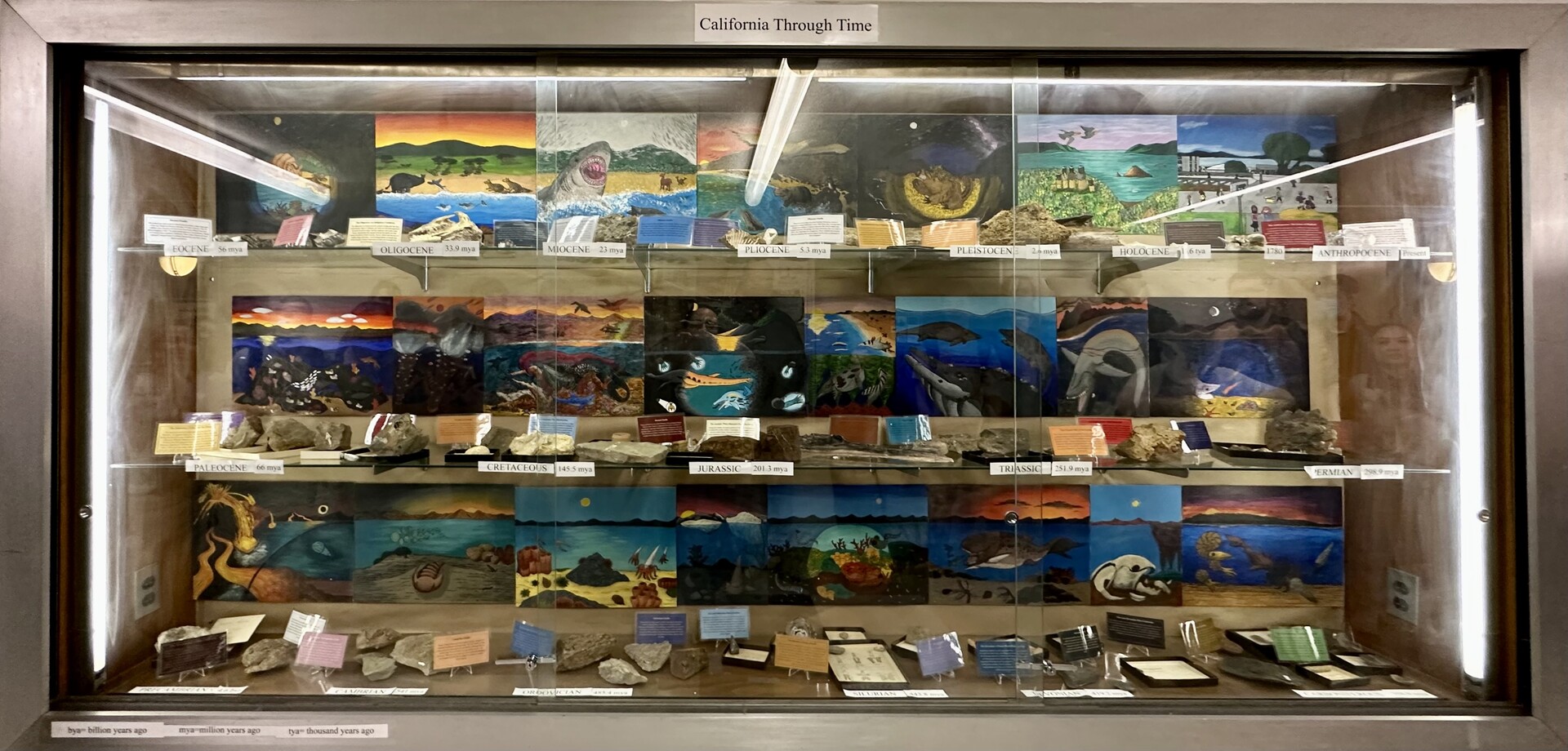 ArtStation - CSUEB Geologic Timescale Exhibit Display