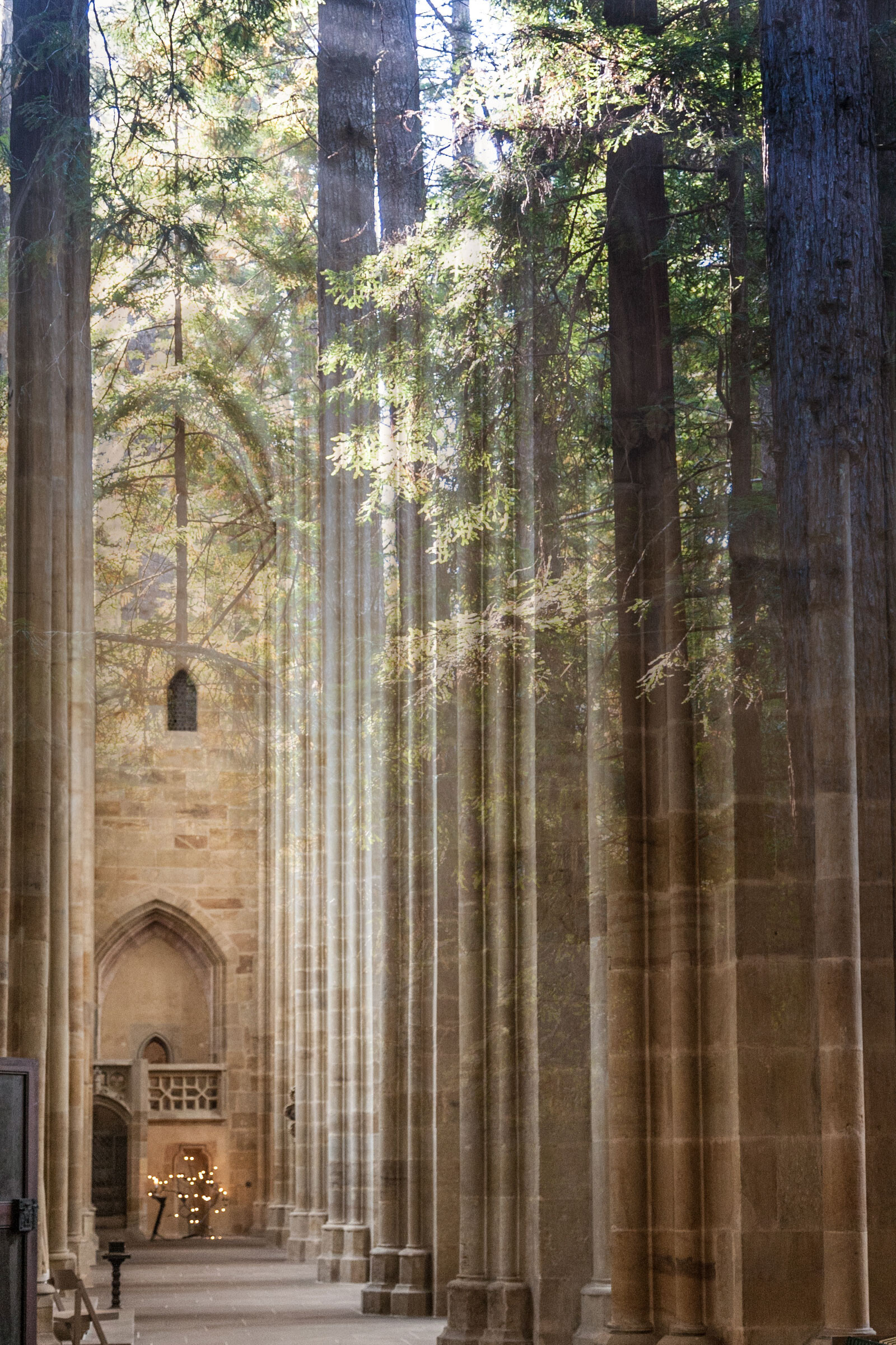 ArtStation - Cathedral forest