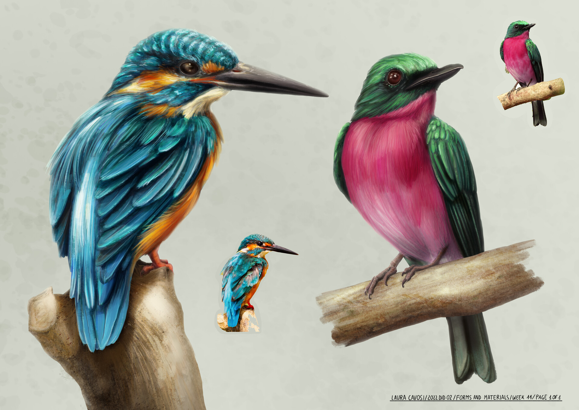 ArtStation - Bird painting practice