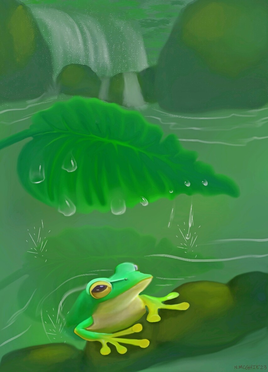 ArtStation - Frog Splash