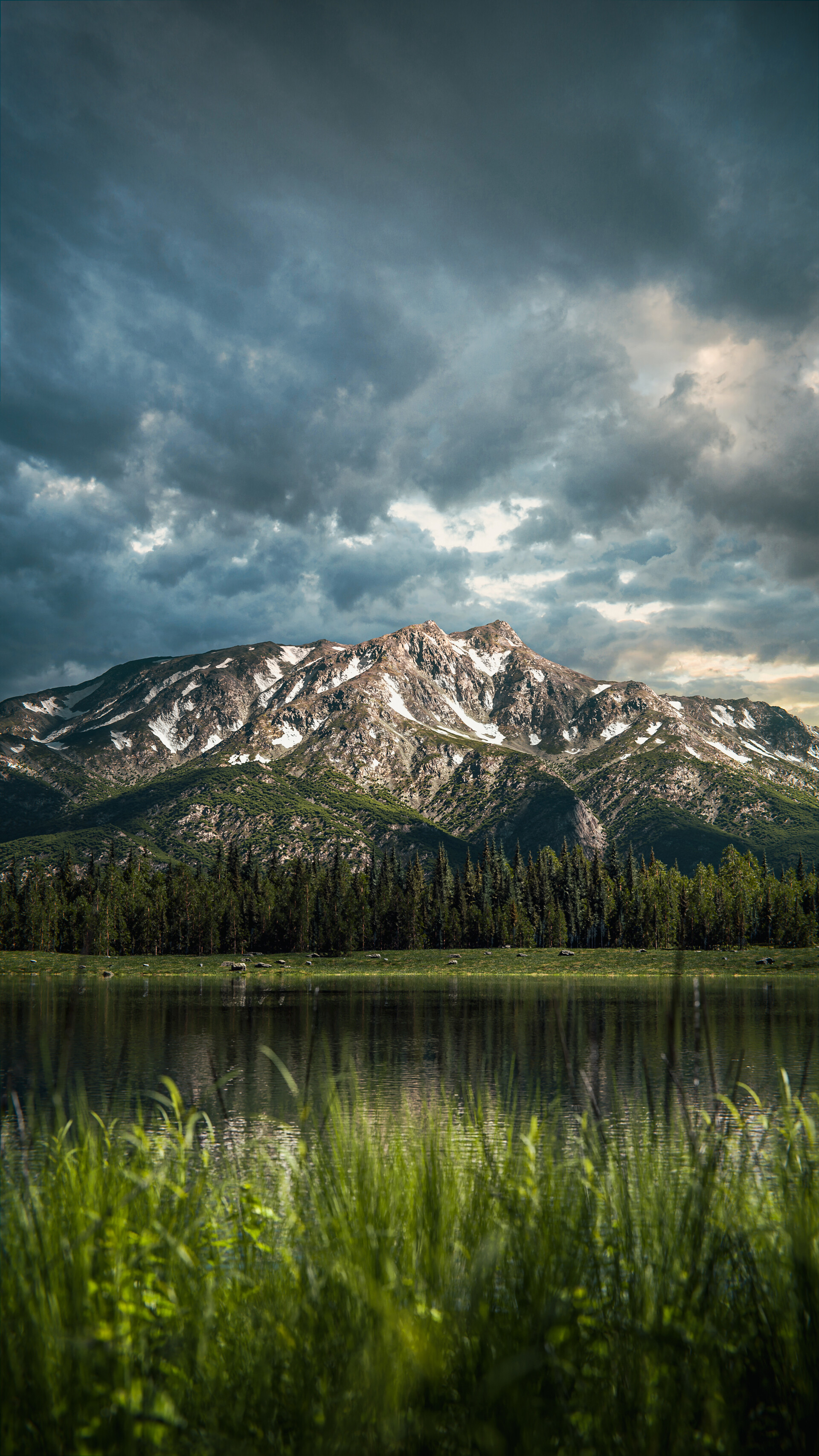 ArtStation - Mountain with Field