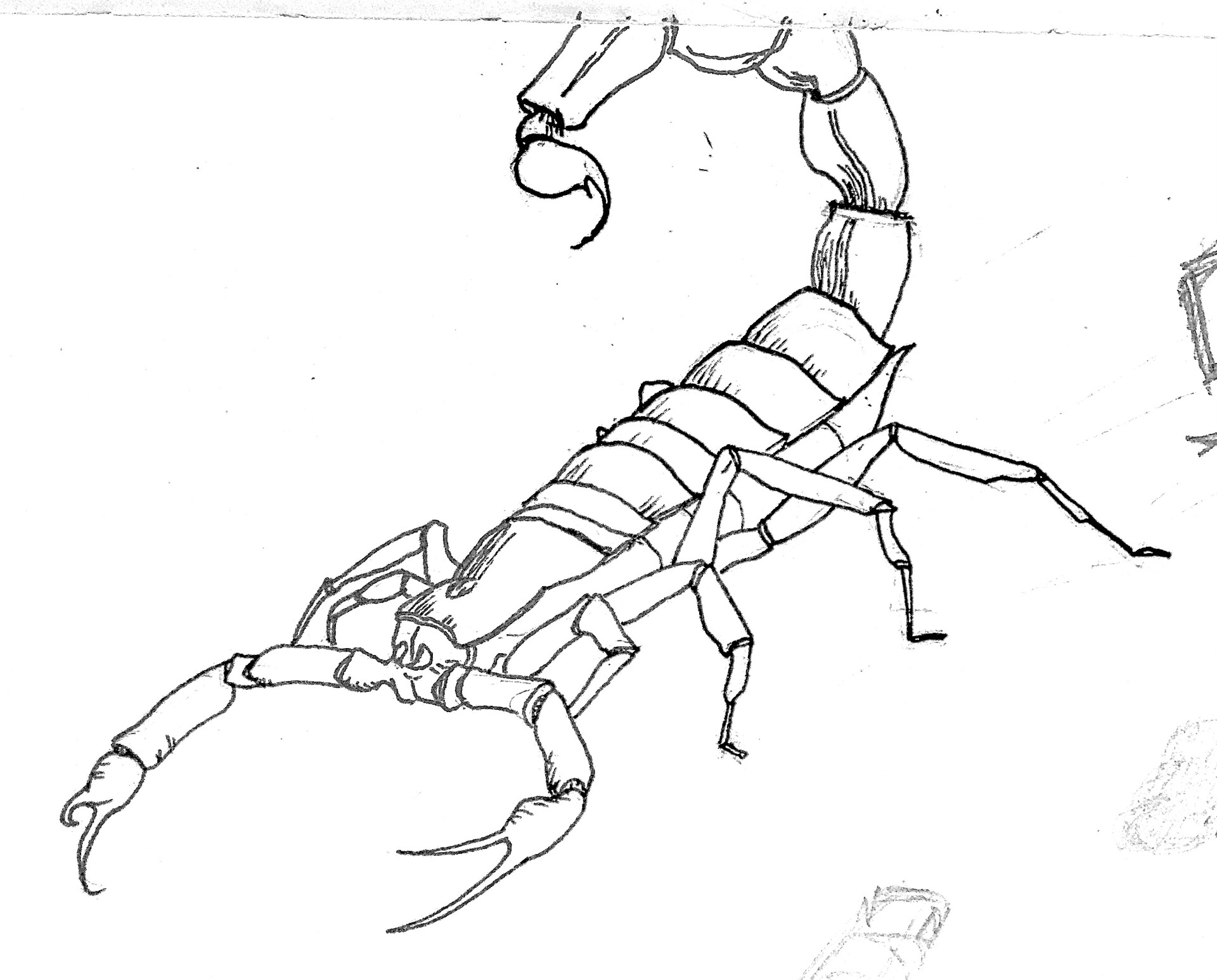 ArtStation - Scorpion designs
