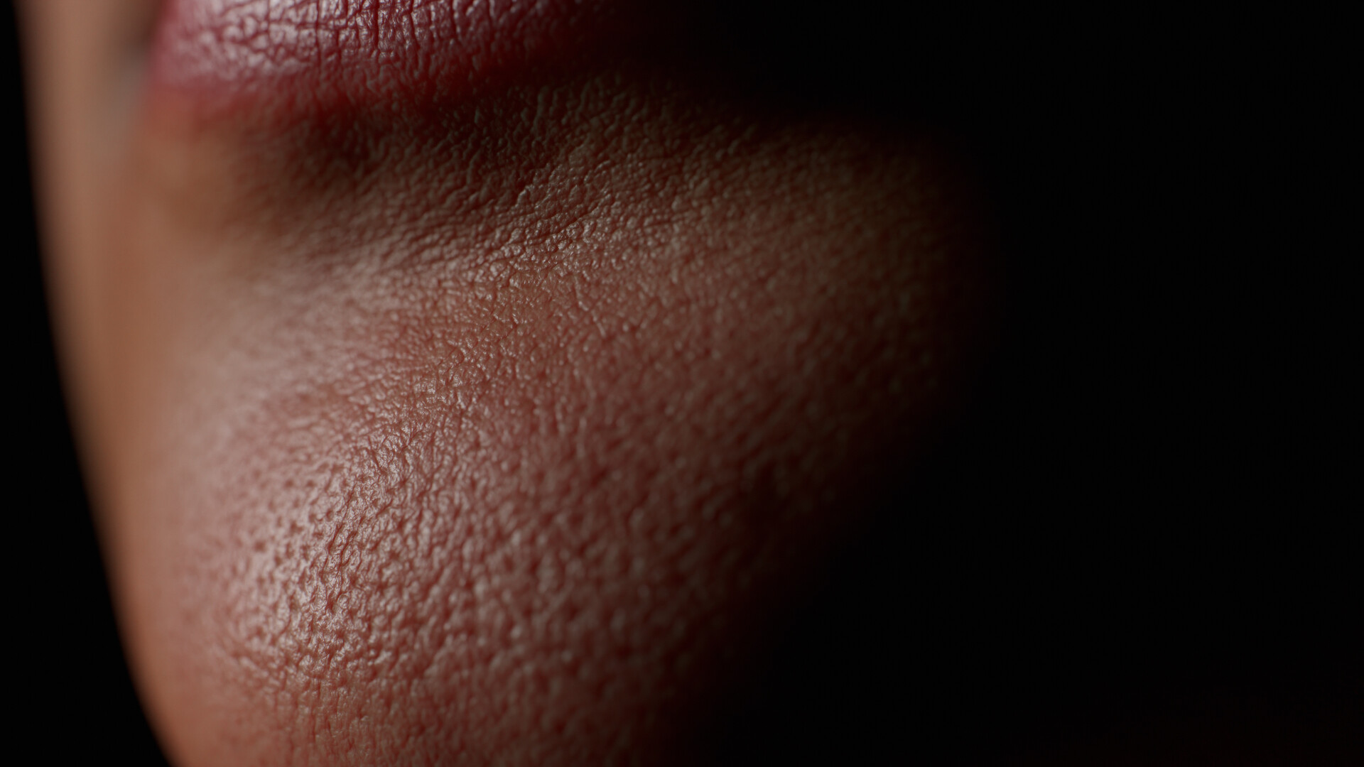 3D Scan Store - Free HD Head