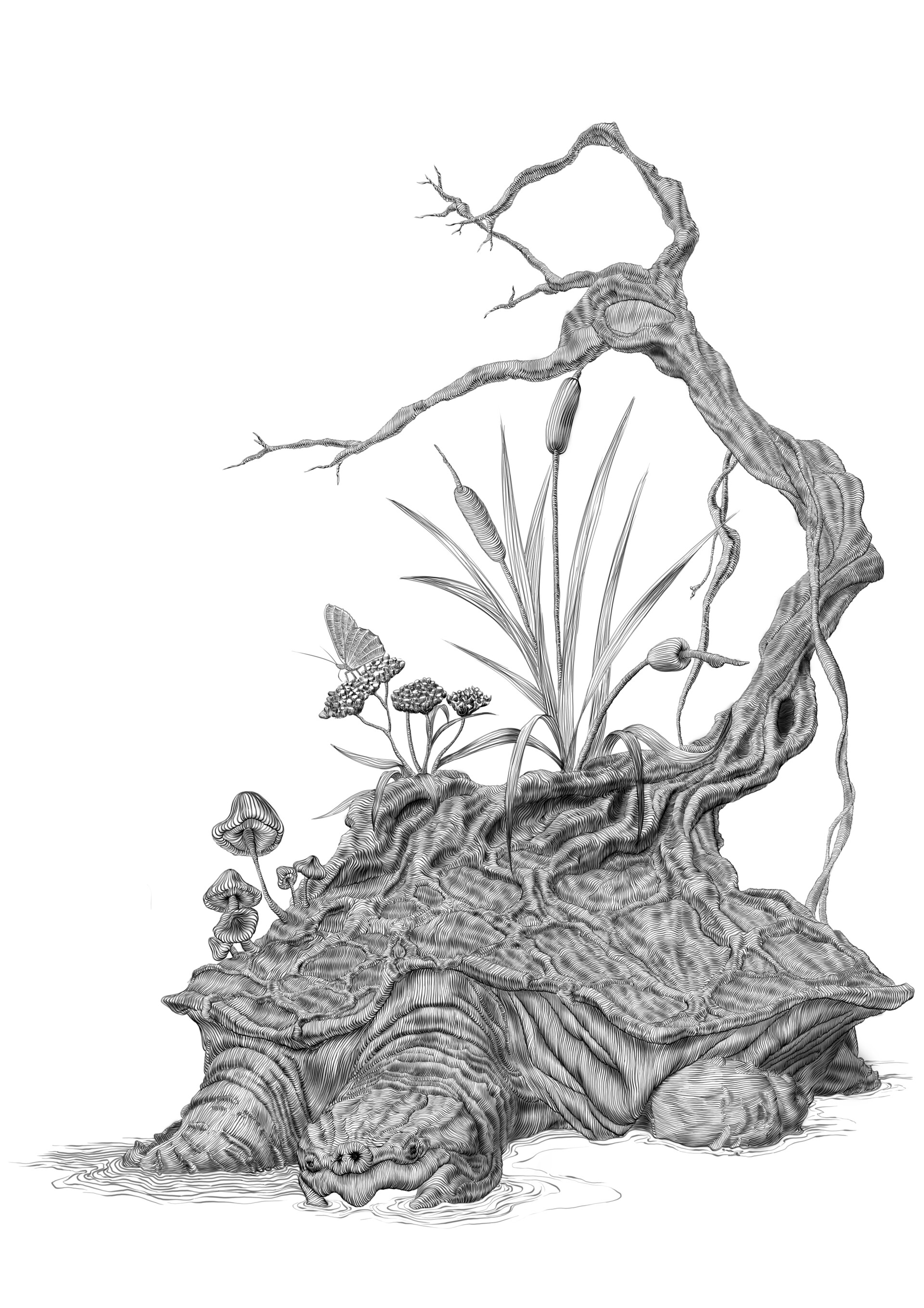 ArtStation - Swamp turtle