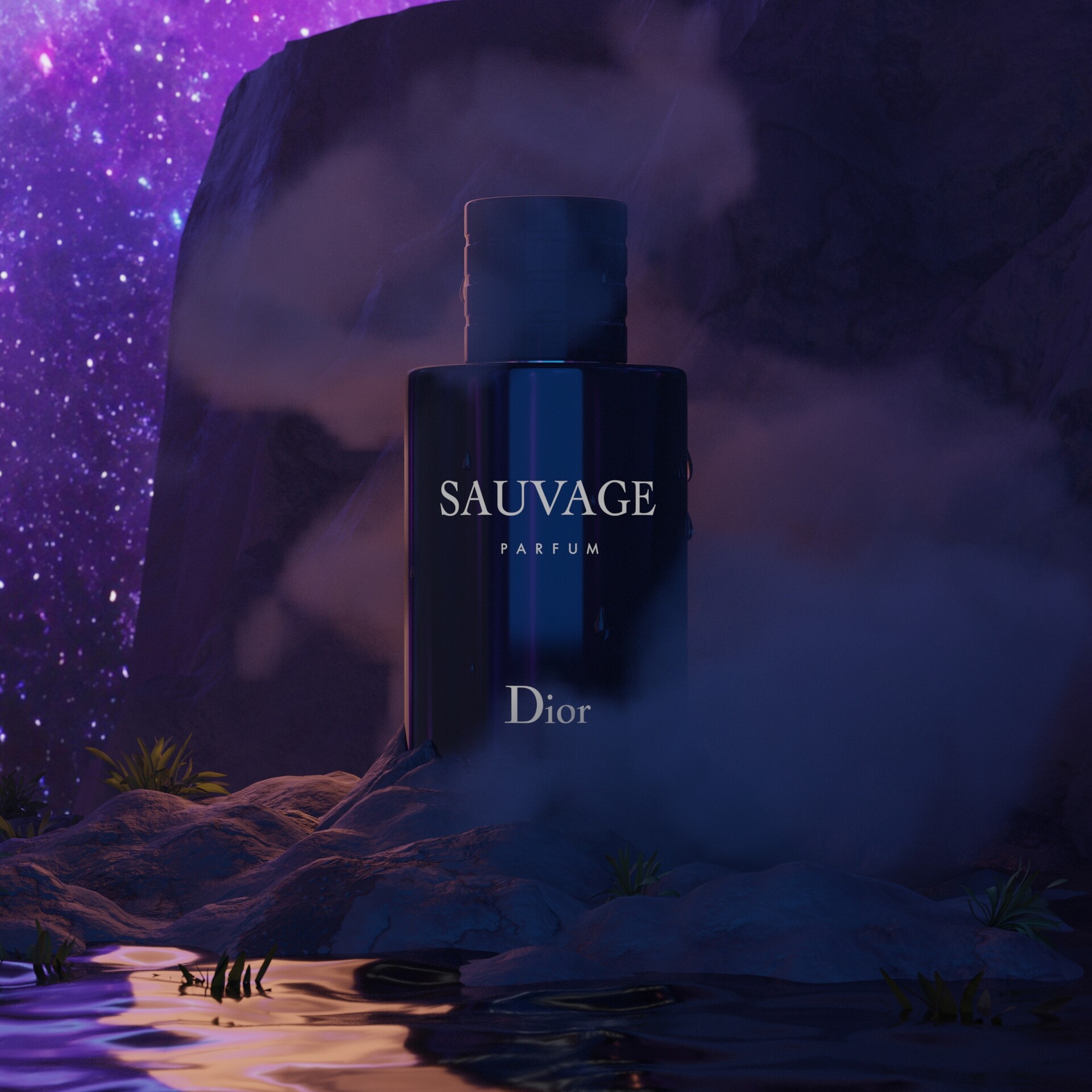 ArtStation - AUTHORAL PROJECT IN 3D AND POST-PRODUCTION FOR "DIOR"