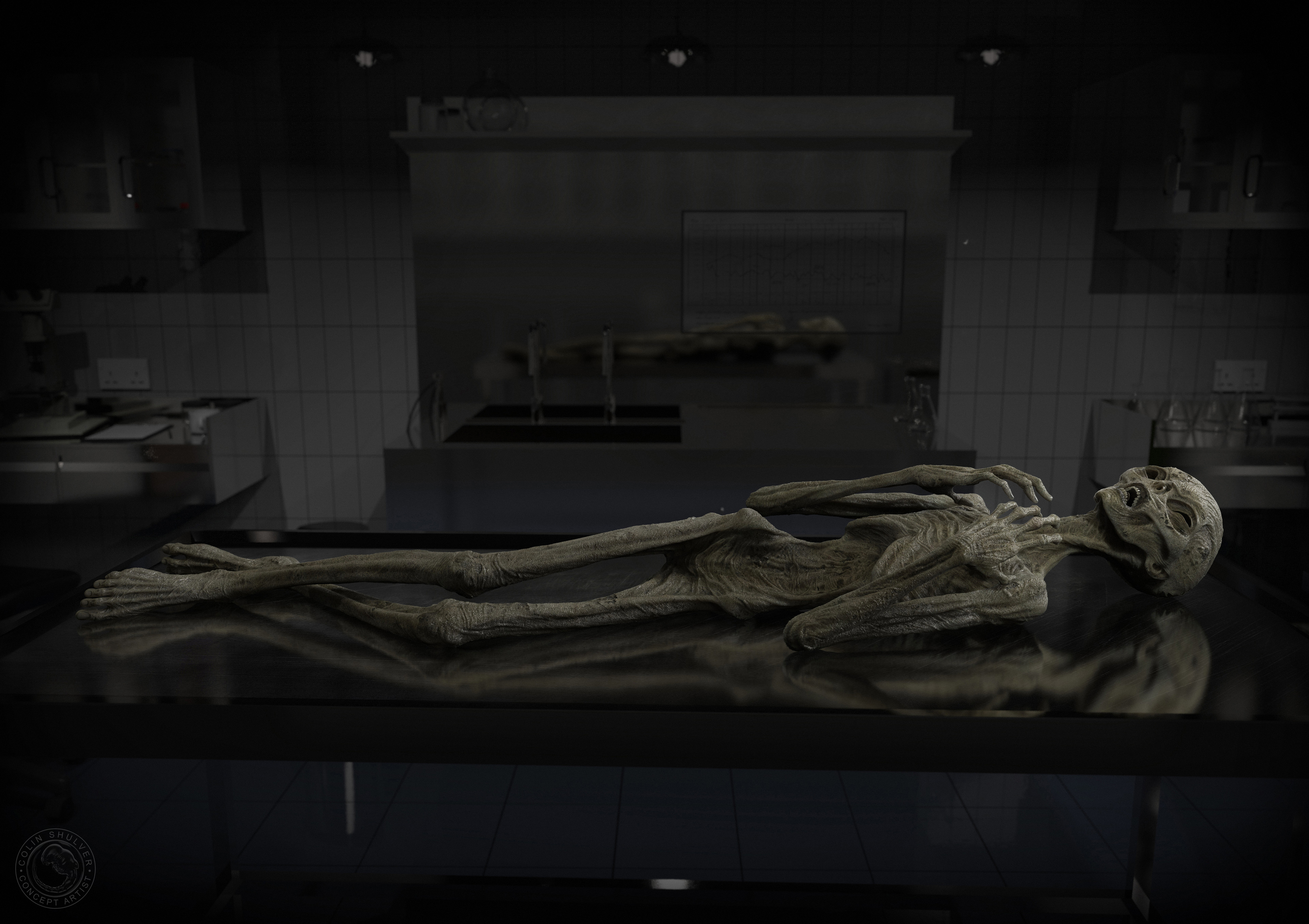 COLIN SHULVER - Alien Autopsy