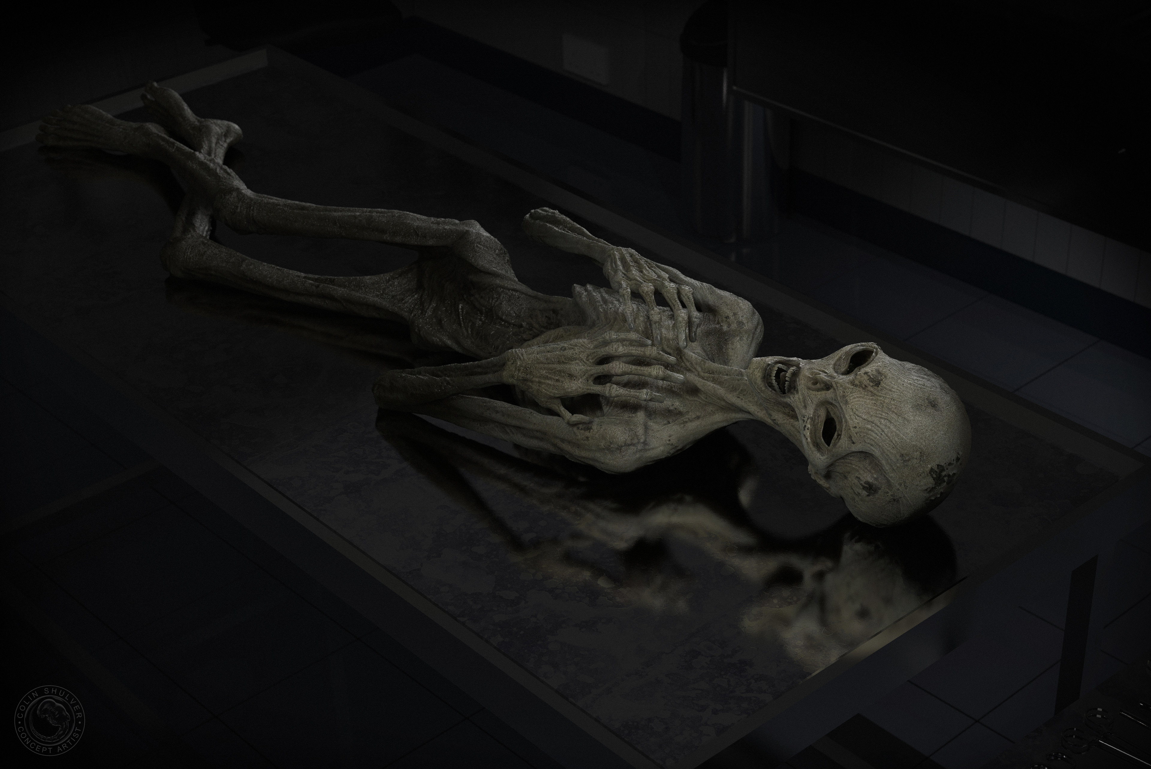 COLIN SHULVER - Alien Autopsy