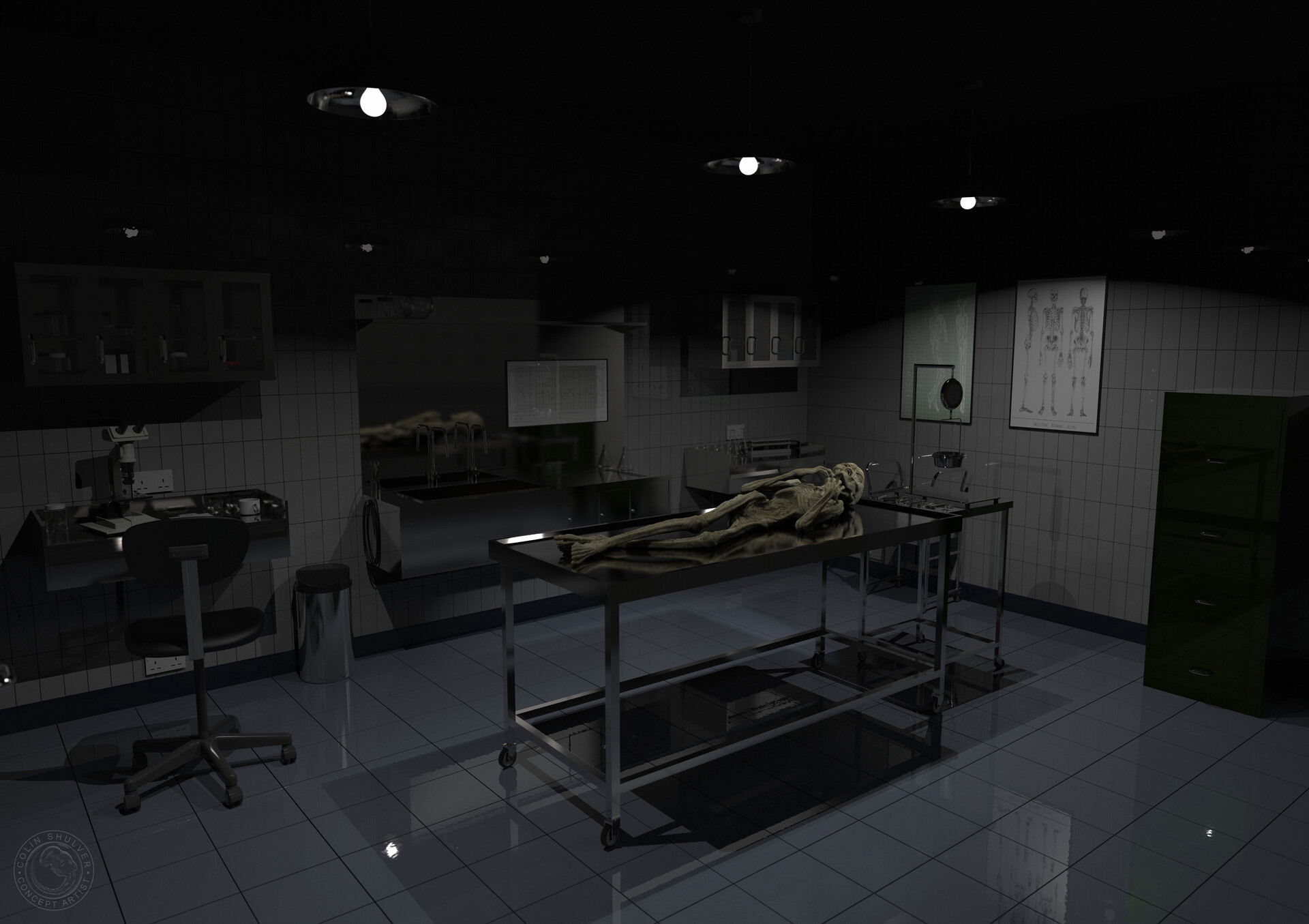 COLIN SHULVER - Alien Autopsy