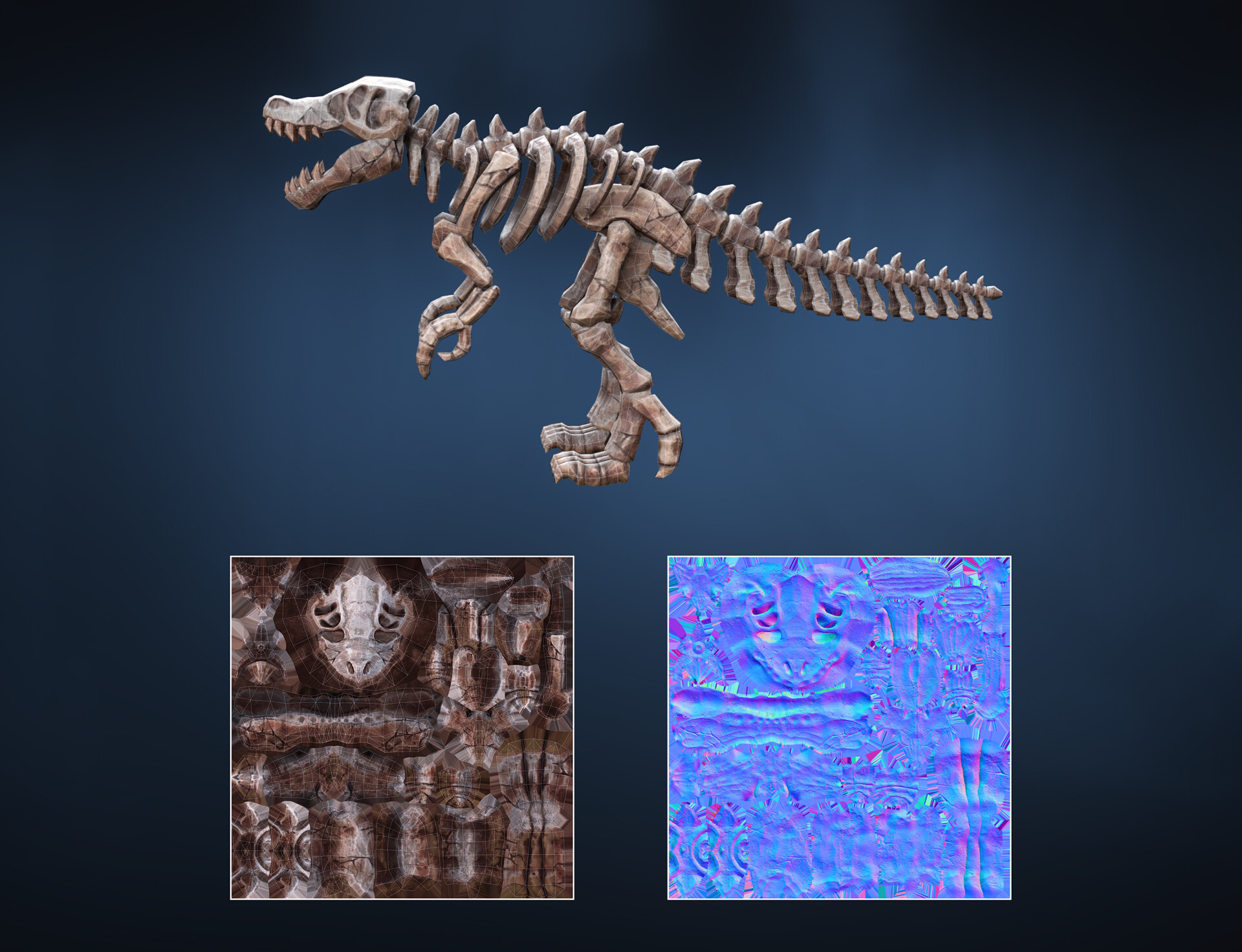 Jonathan Lam - Tyrannosaurus Skeleton