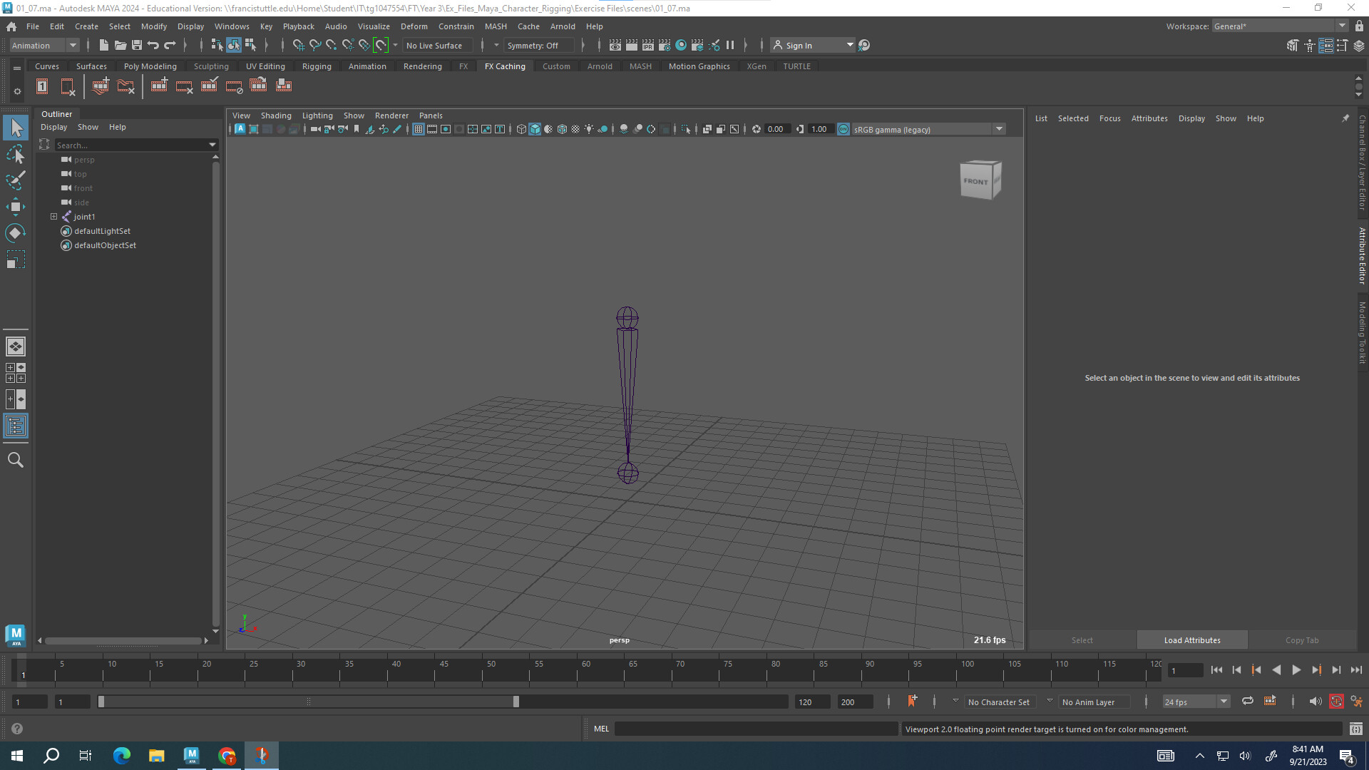 ArtStation - Learning Character Rigging in Maya
