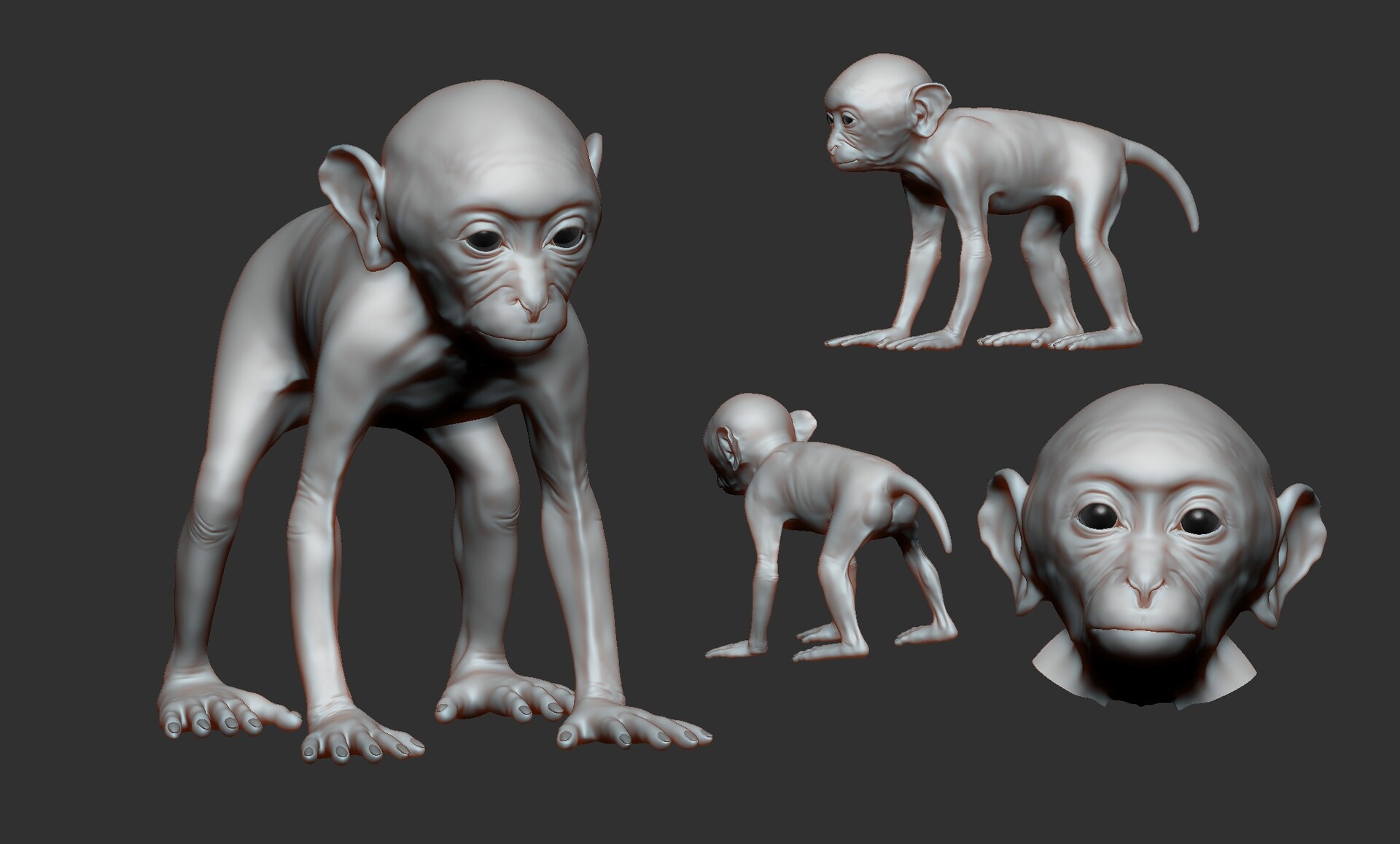 Sandeep Grover - My Love towards Animals