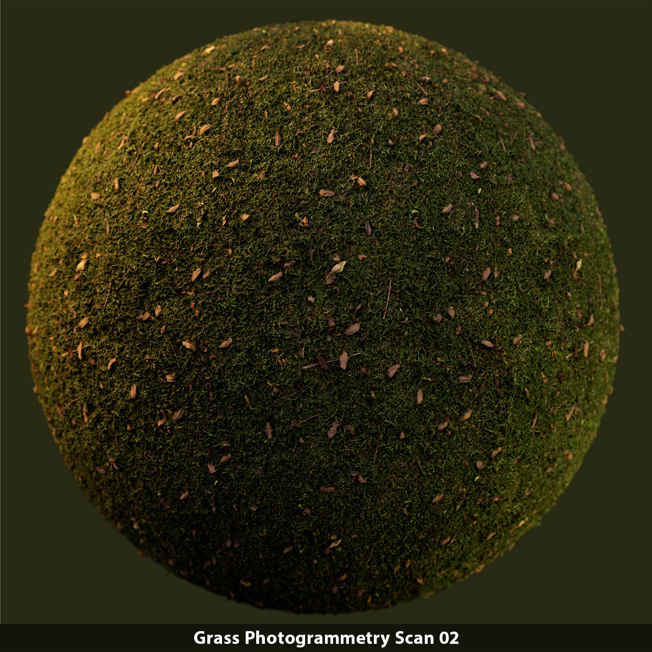 Simon Tremblay Gauthier - Grass Photogrammetry Scan 02