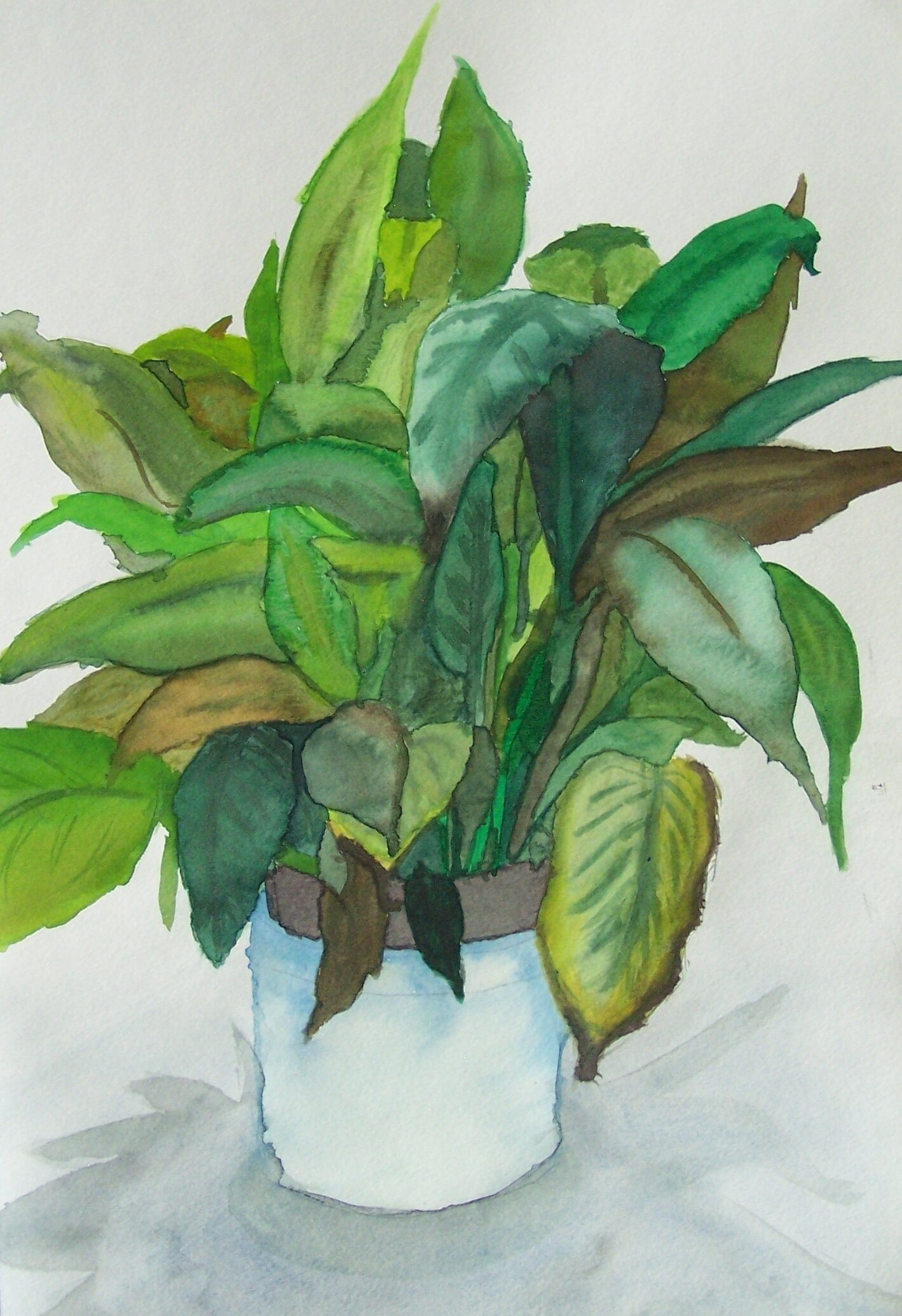 ArtStation - Water color Plant