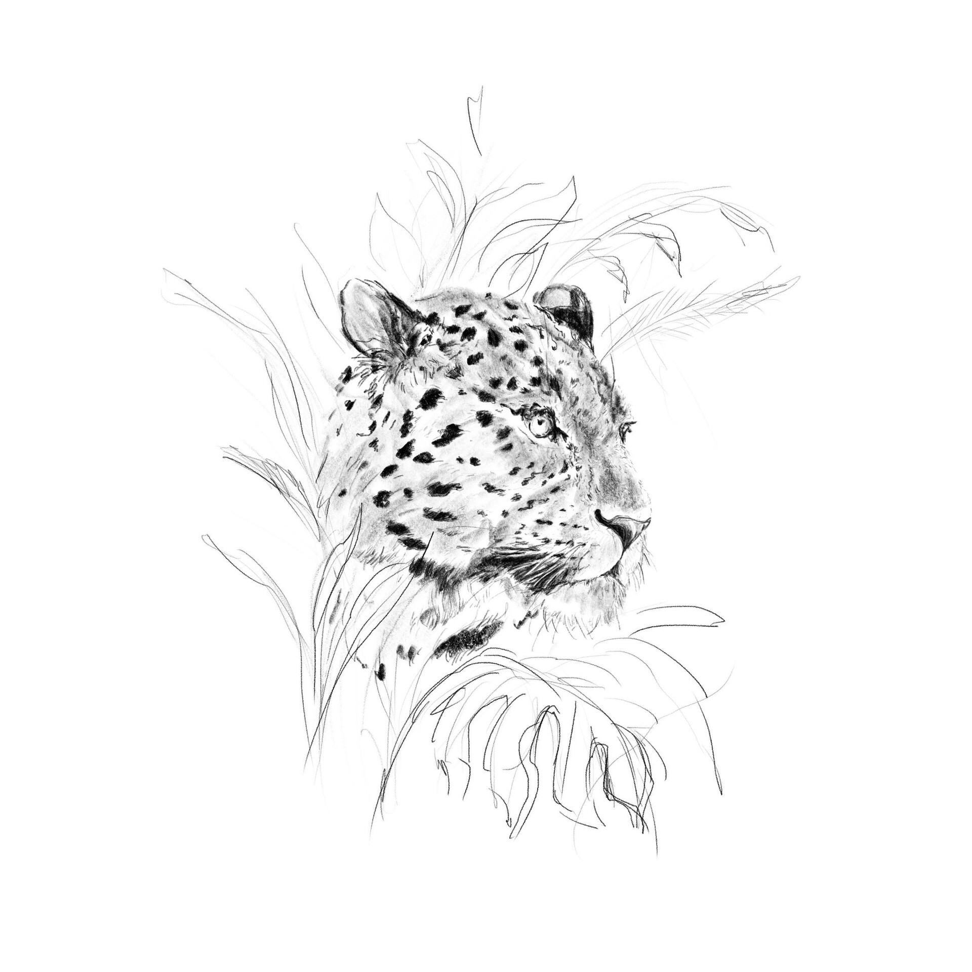 ArtStation - Leopard