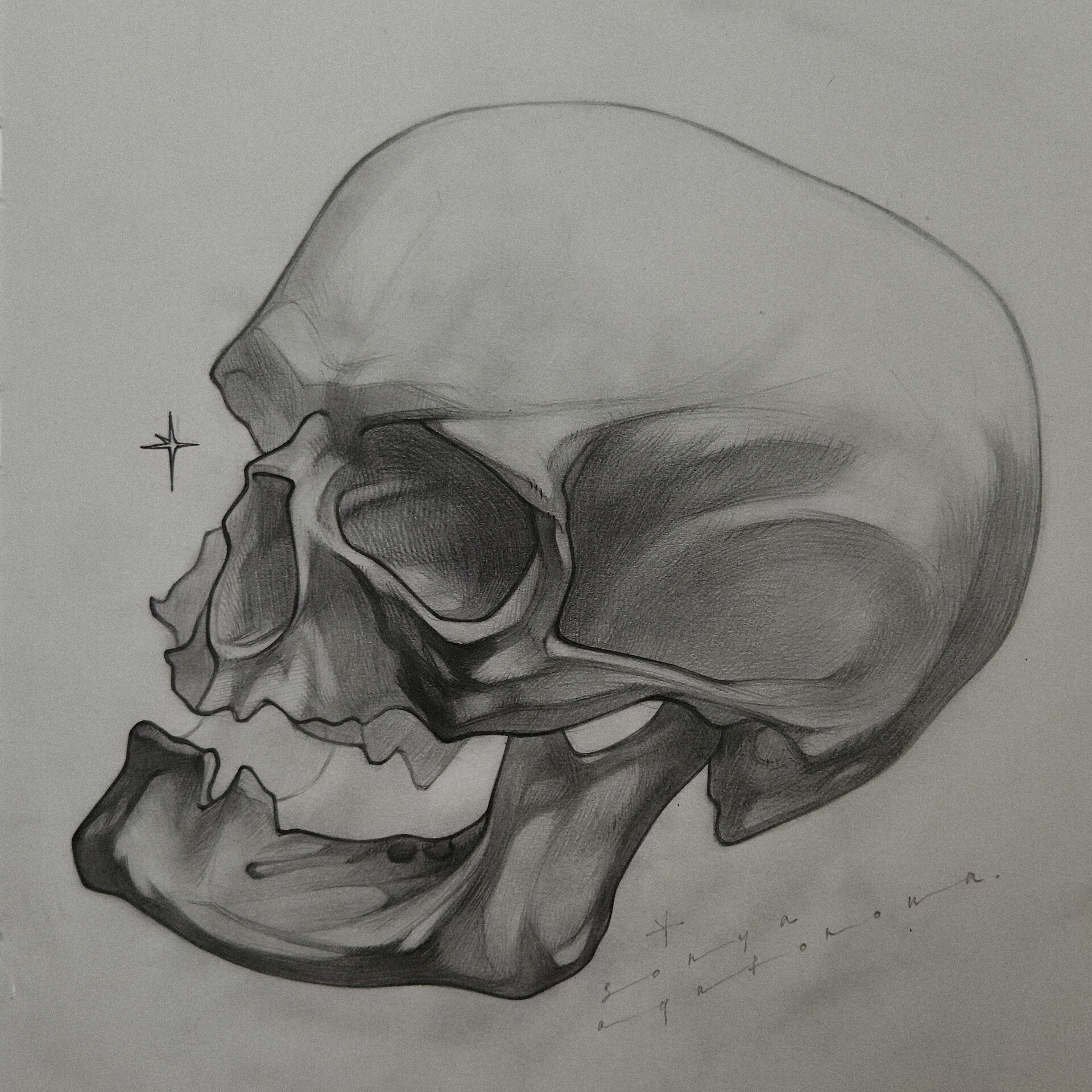 ArtStation - skull drawing practice.