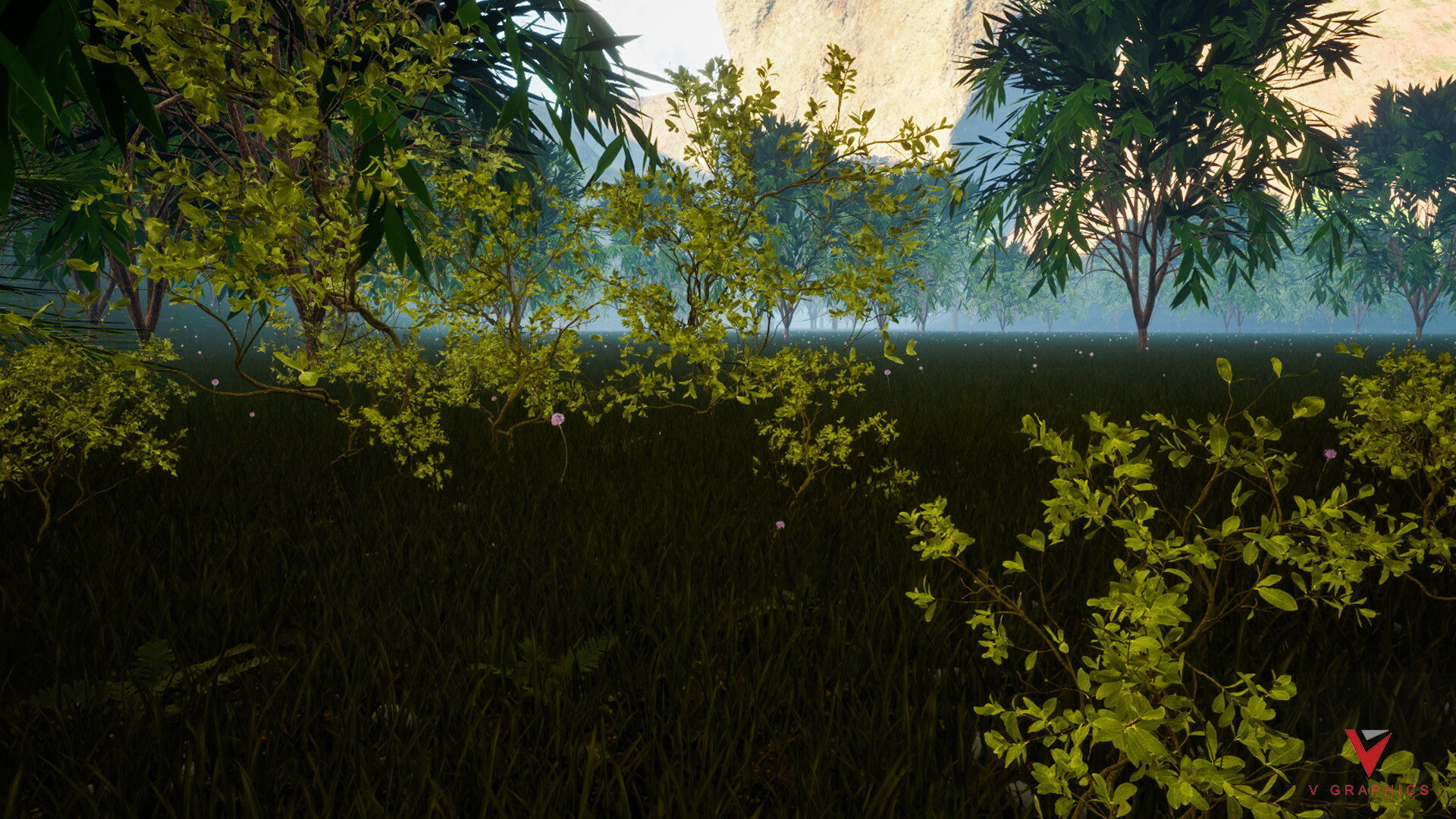 V Graphics - Forest Game Environment