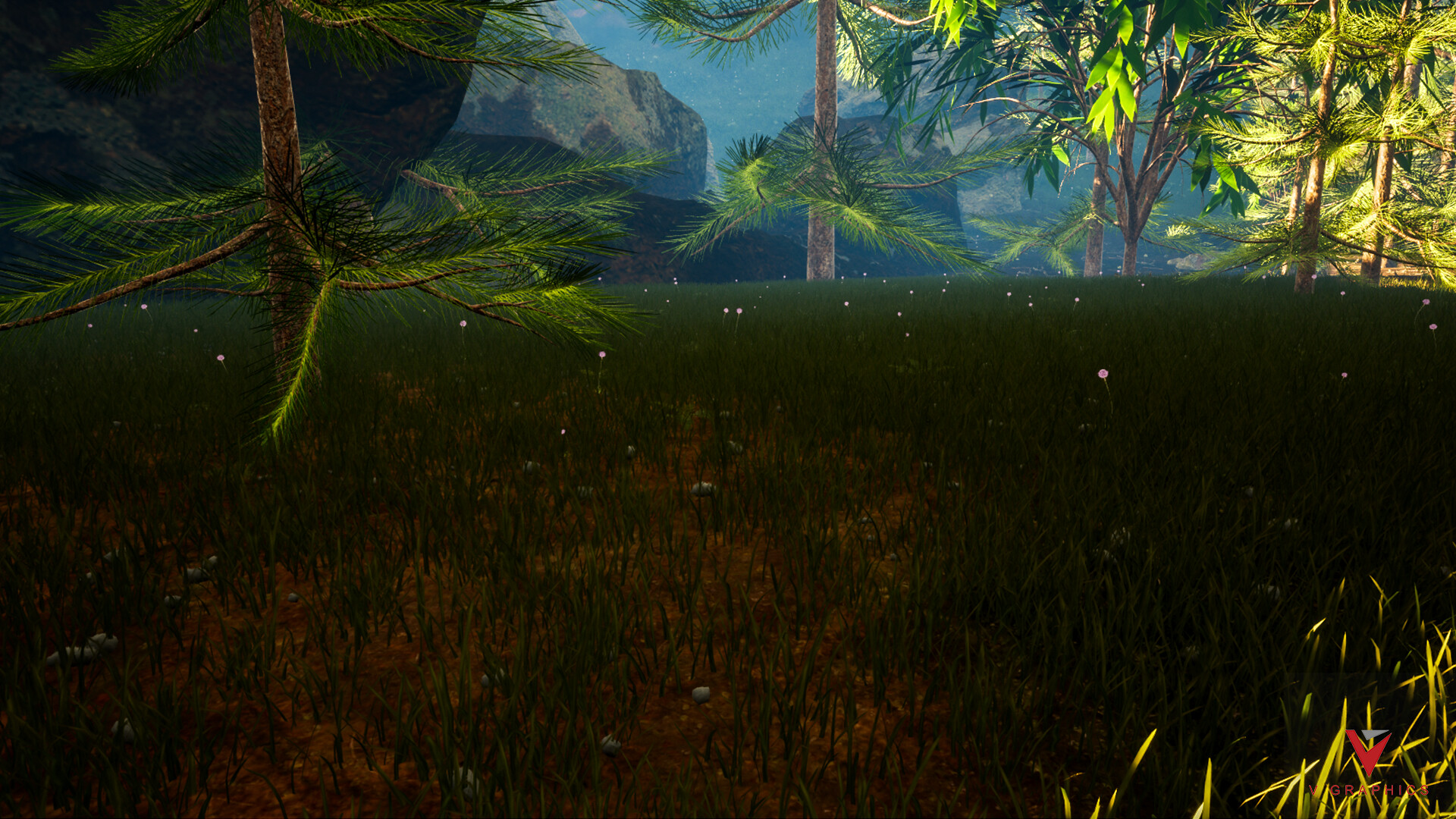 V Graphics - Forest Game Environment